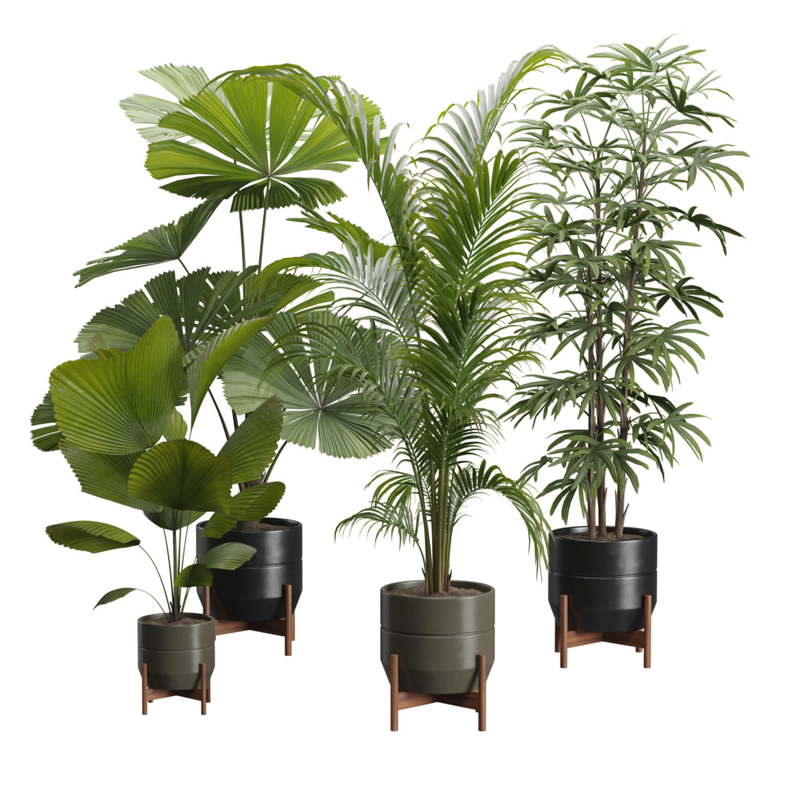 Indoor Plants Pack 49 - 3D Model by AllQuad
