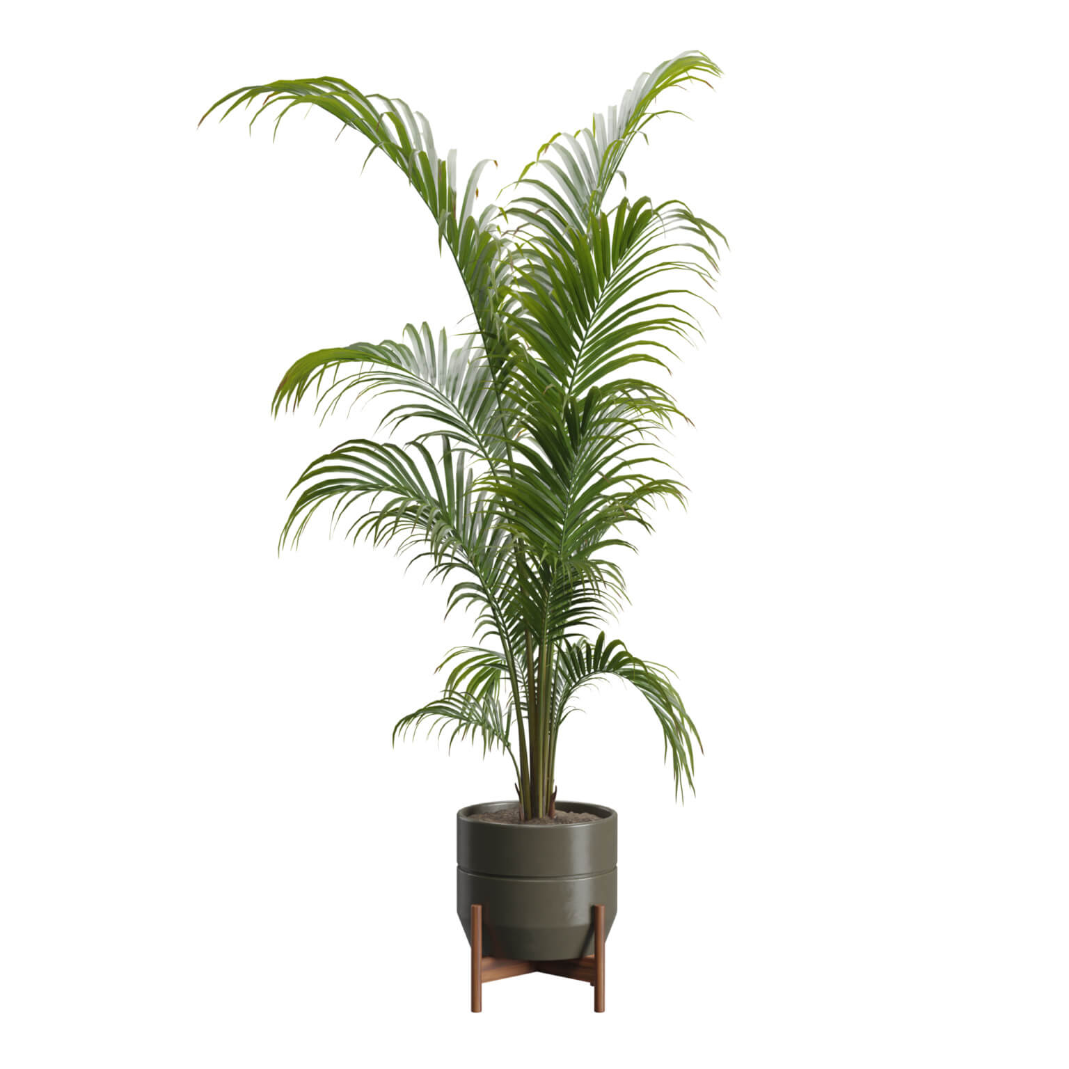 Indoor Plants Pack 49 - 3D Model by AllQuad