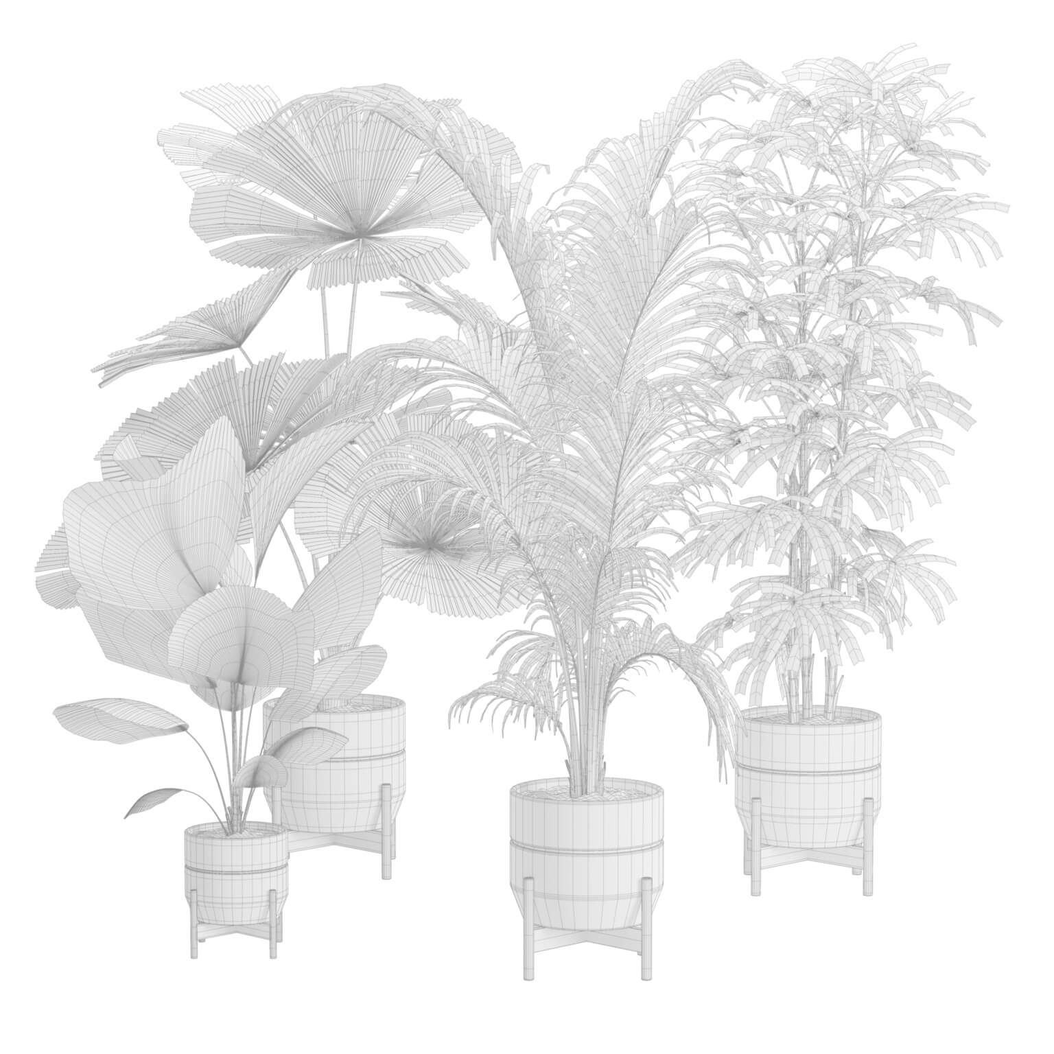 Indoor Plants Pack 49 - 3D Model by AllQuad