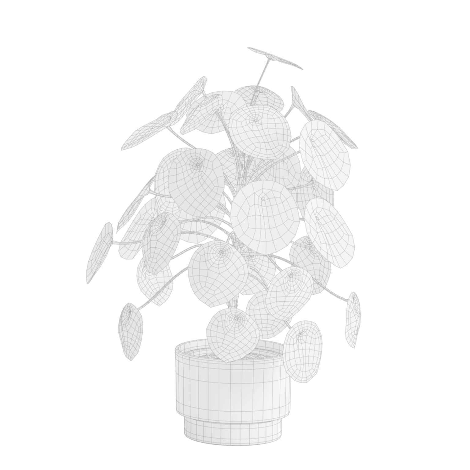 Indoor Plants Pack 50 - 3D Model by AllQuad