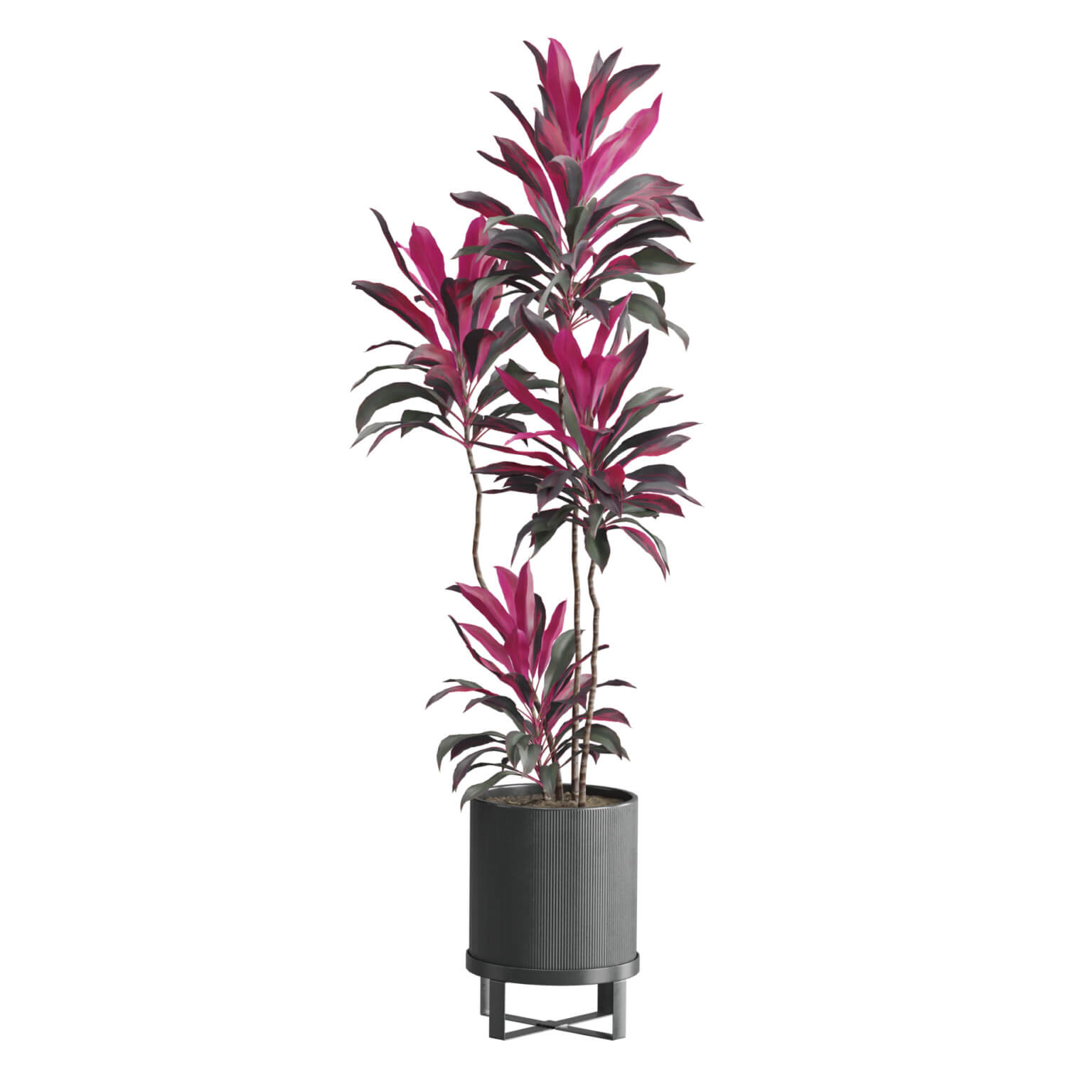 Indoor Plants Pack 51 - 3D Model by AllQuad