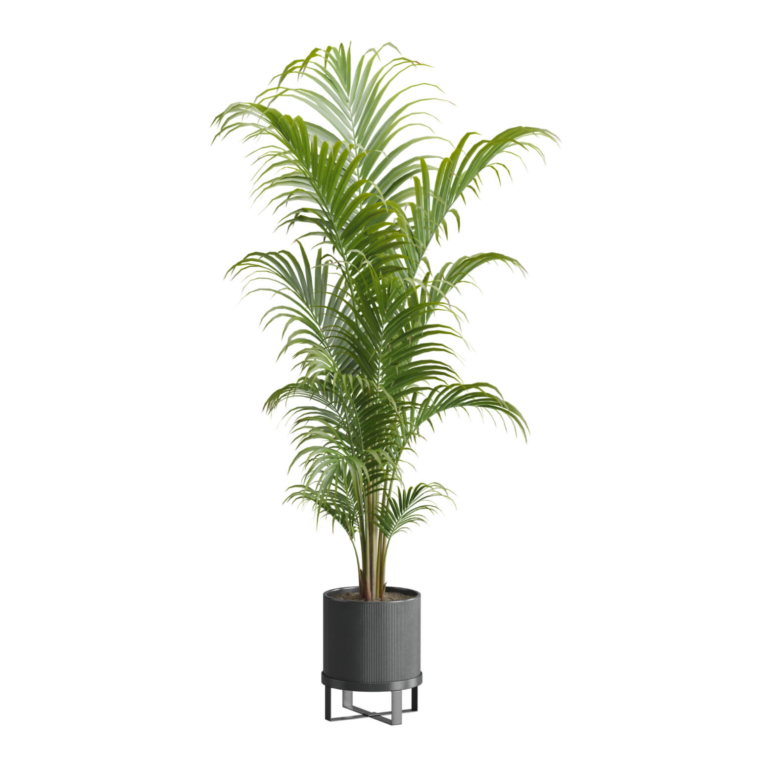 Indoor Plants Pack 51 - 3D Model by AllQuad