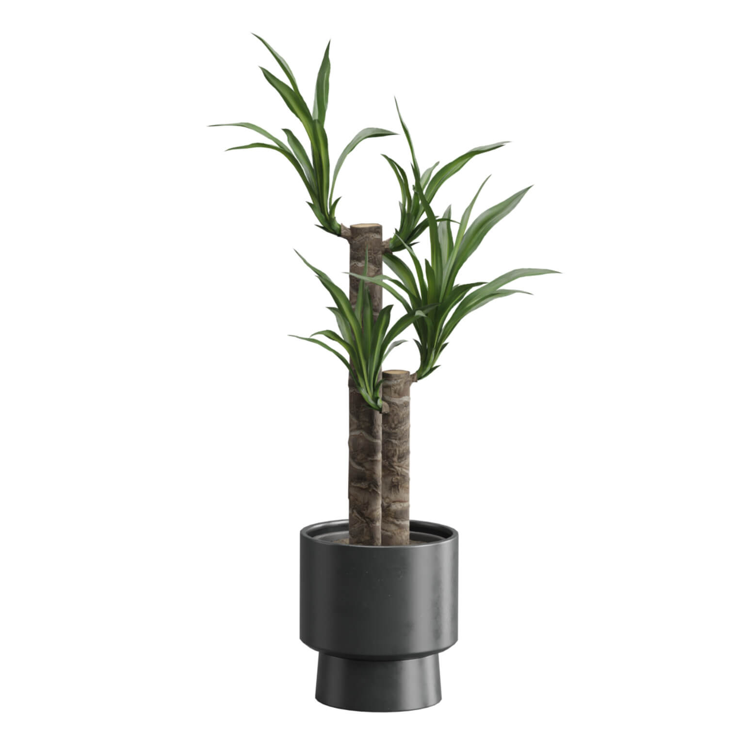Indoor Plants Pack 51 - 3D Model by AllQuad
