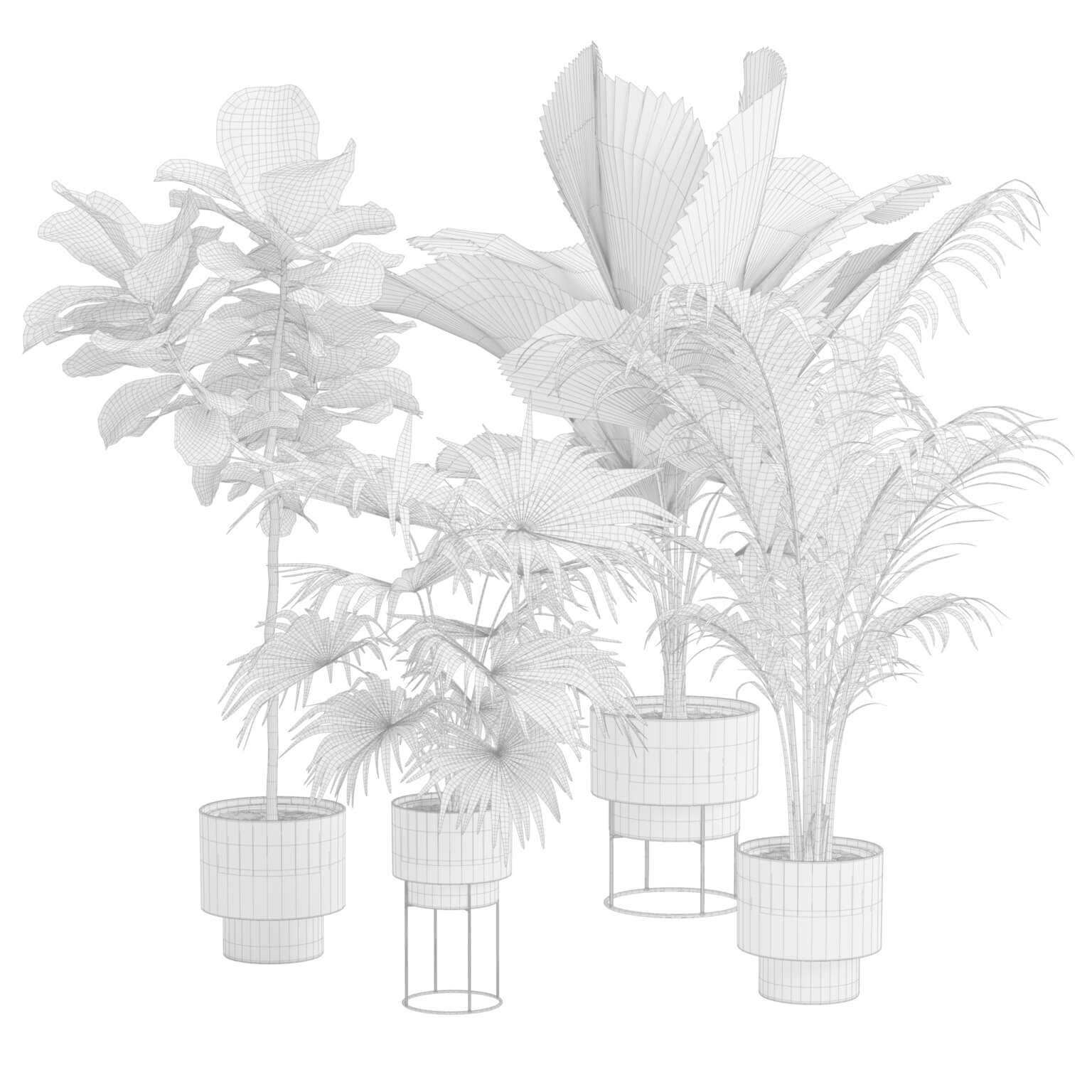 Indoor Plants Pack 53 - 3D Model by AllQuad