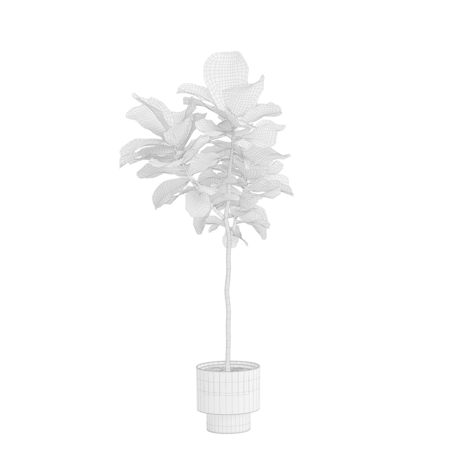 Indoor Plants Pack 53 - 3D Model by AllQuad