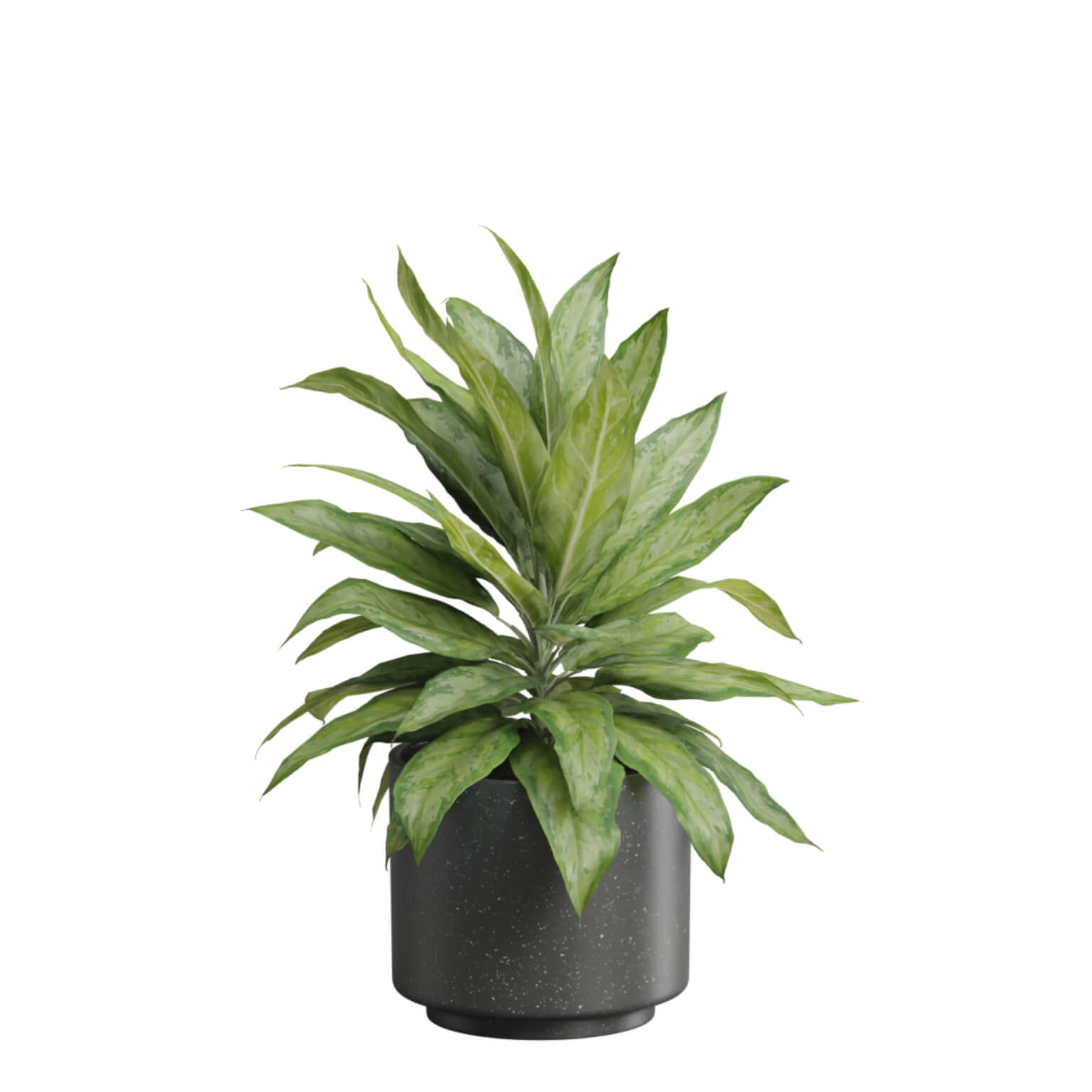 Indoor Plants Pack 54 - 3D Model by AllQuad