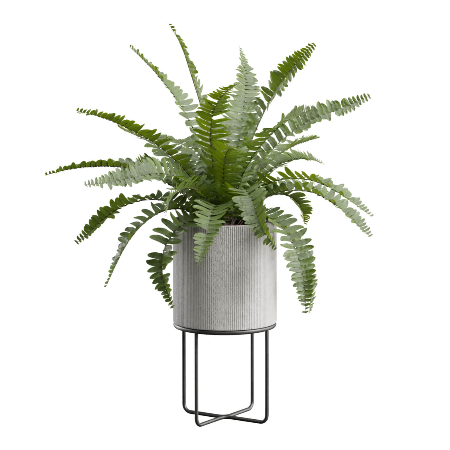 Indoor Plants Pack 56 - 3D Model by AllQuad