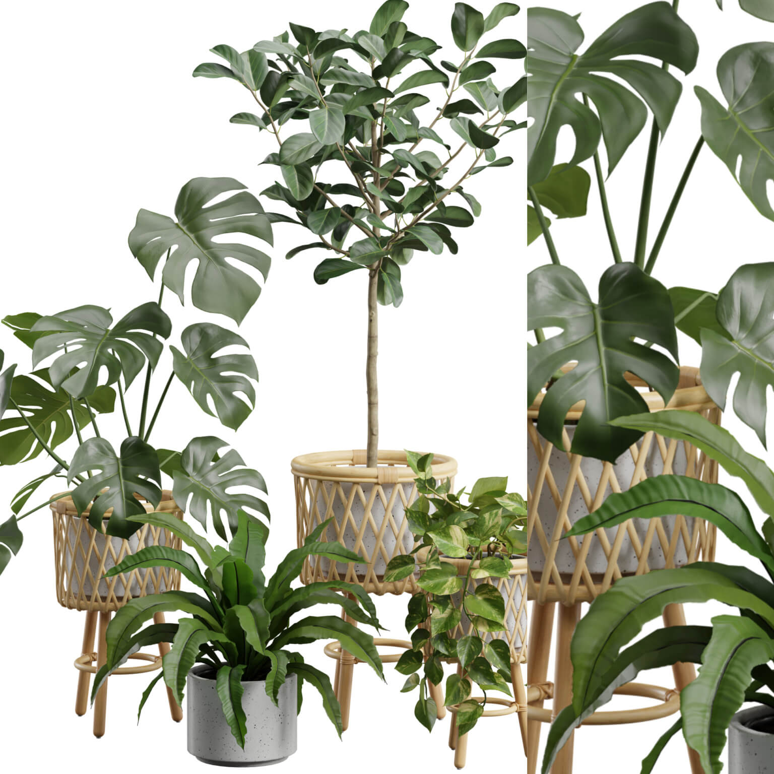 Indoor Plants Pack 57 - 3D Model by AllQuad