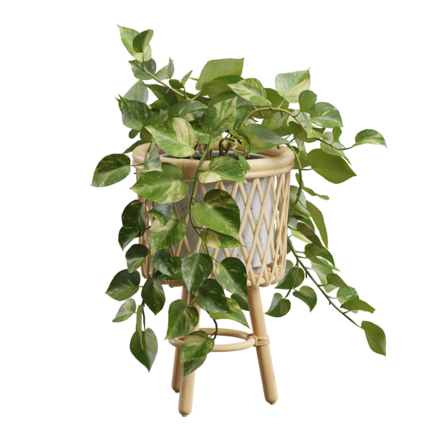 Indoor Plants Pack 57 - 3D Model by AllQuad
