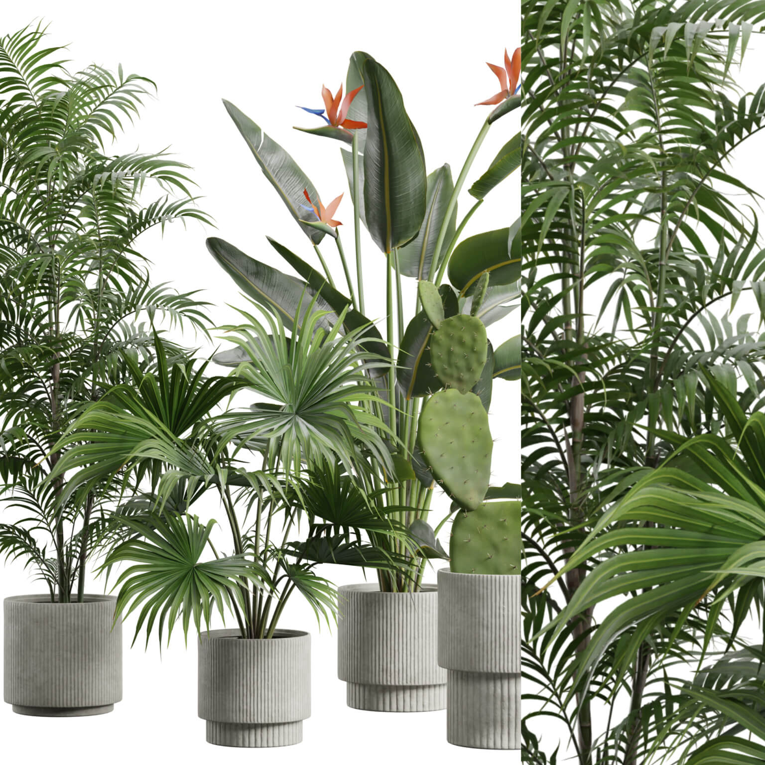 Indoor Plants Pack 59 - 3D Model by AllQuad