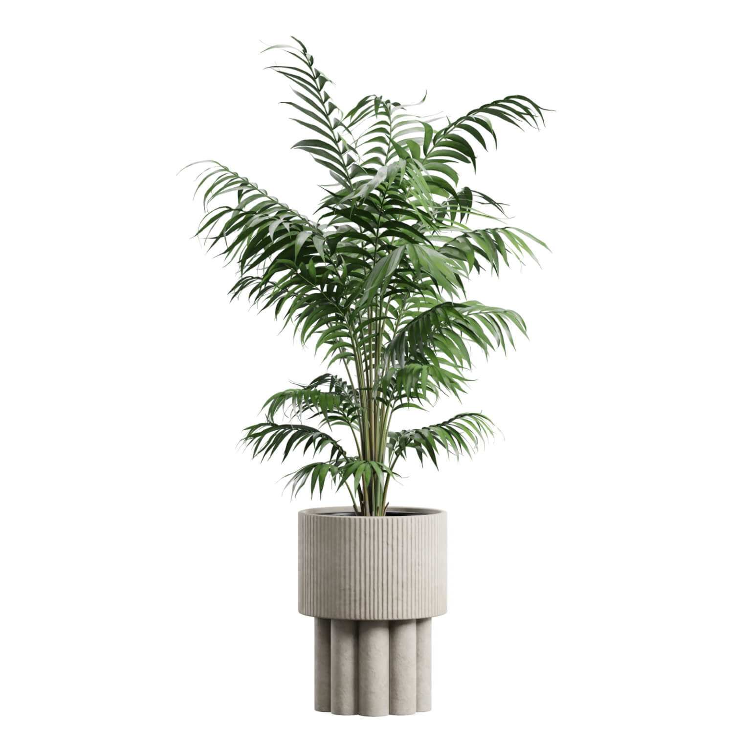 Indoor Plants Pack 61 - 3D Model by AllQuad