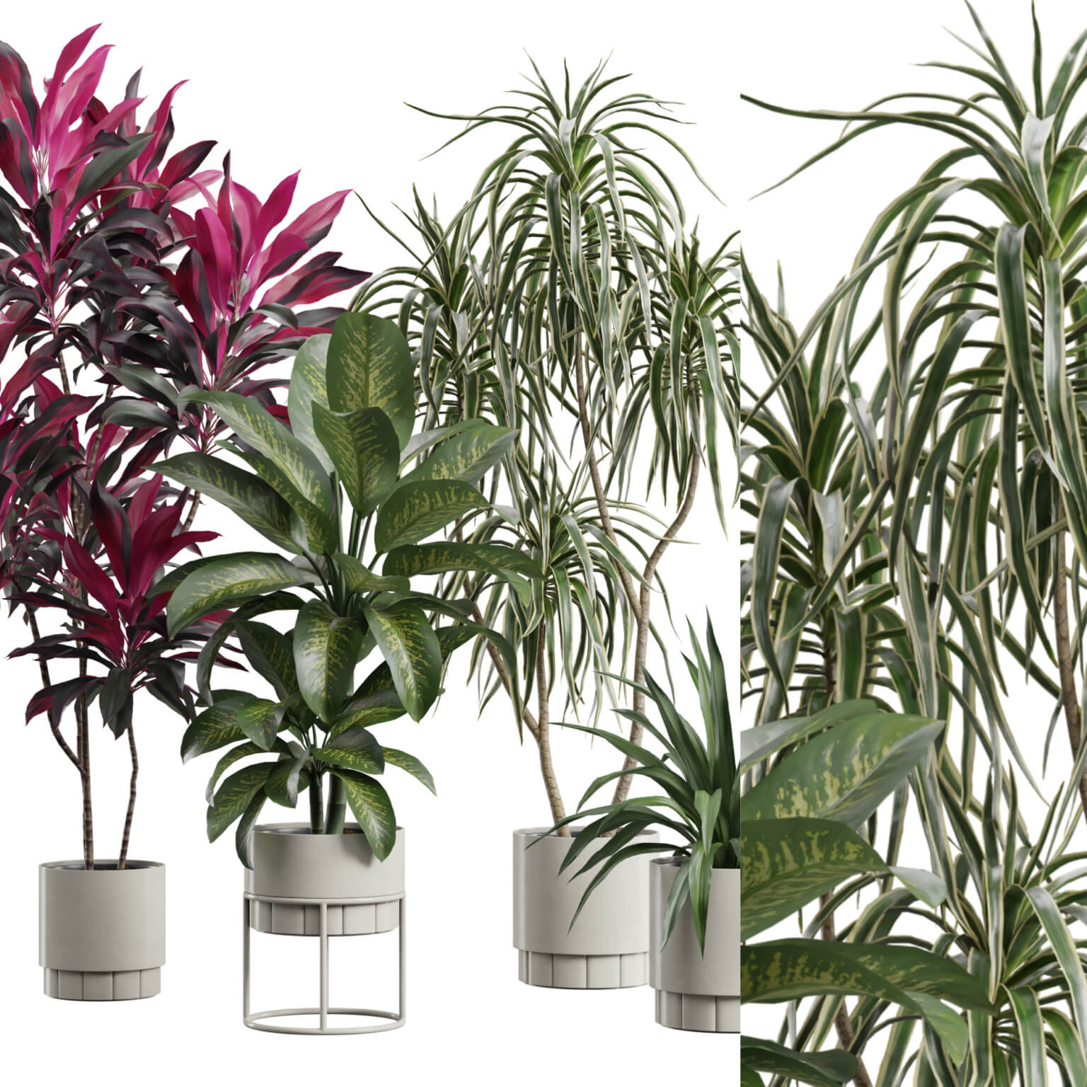 Indoor Plants Pack 62 - 3D Model by AllQuad