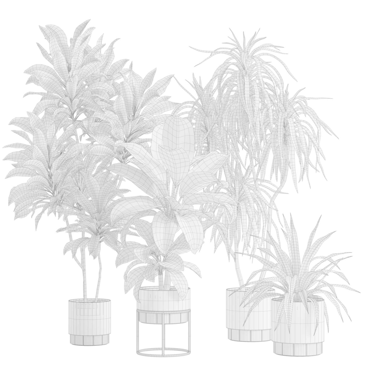 Indoor Plants Pack 62 - 3D Model by AllQuad