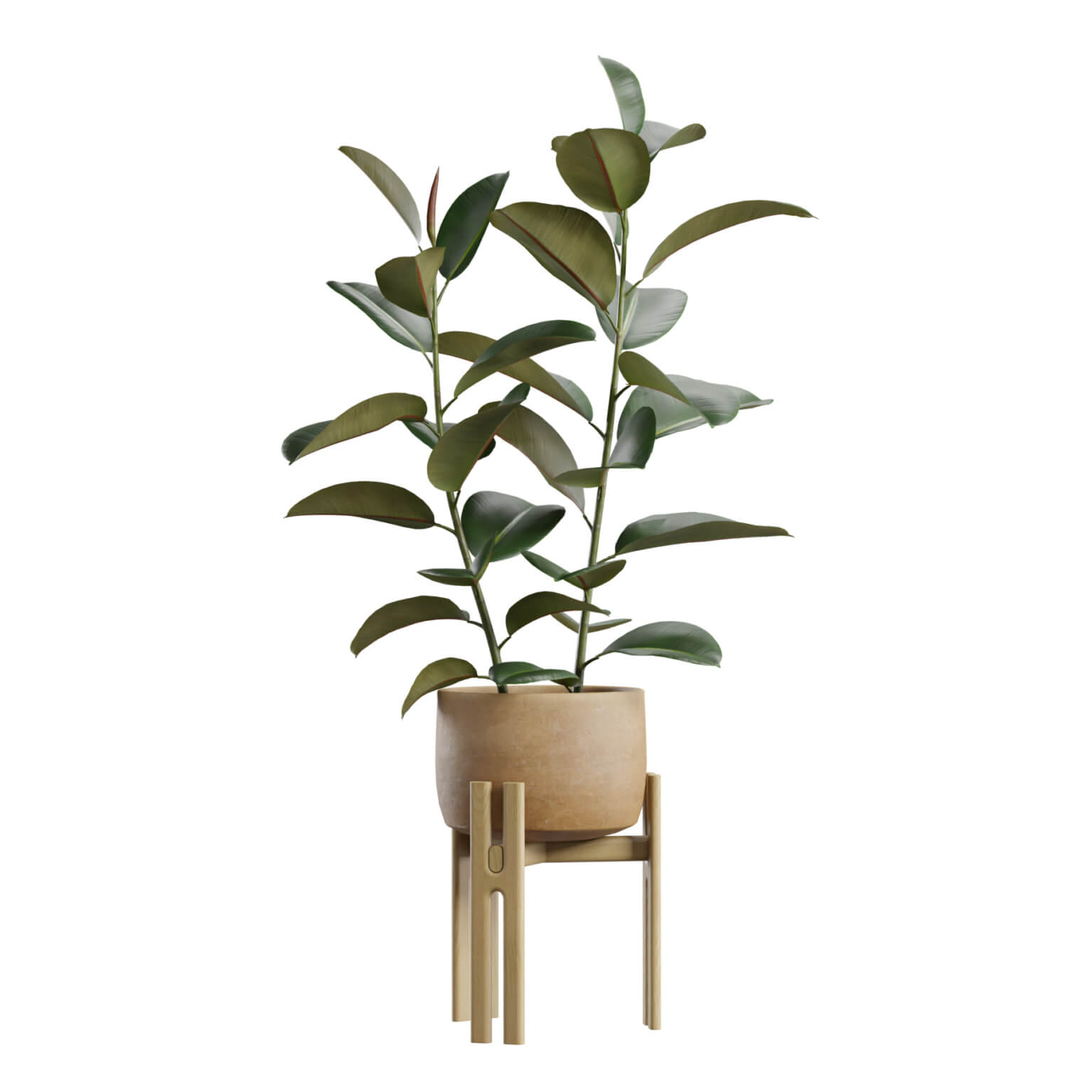 Indoor Plants Pack 65 - 3D Model by AllQuad