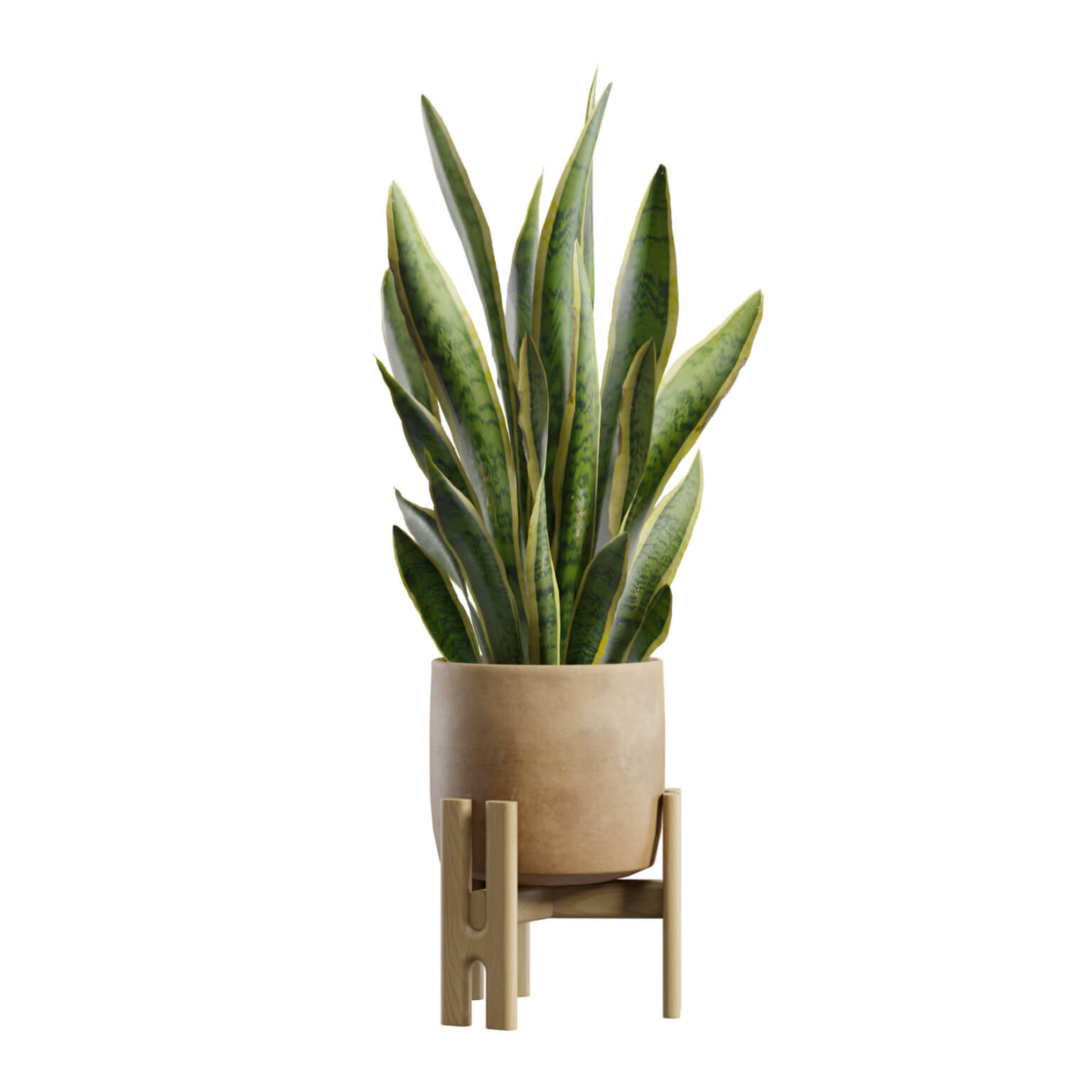 Indoor Plants Pack 65 - 3D Model by AllQuad