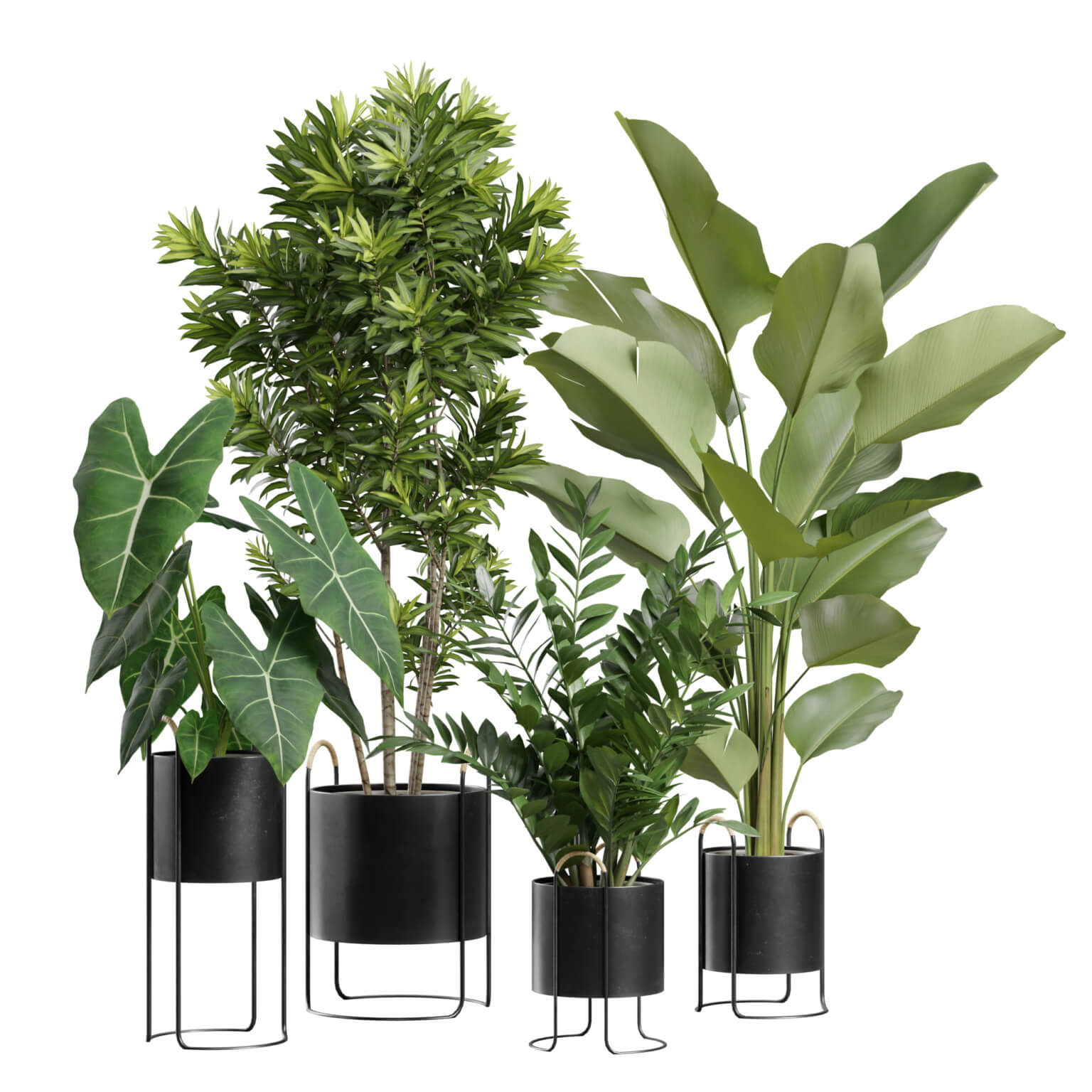 Indoor Plants Pack 67 - 3D Model by AllQuad