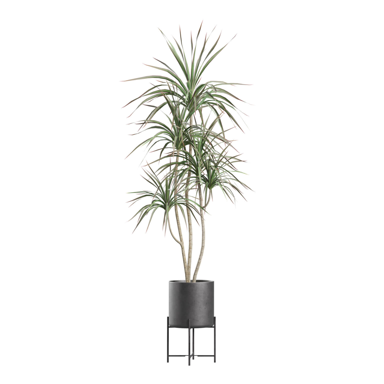 Indoor Plants Pack 68 - 3D Model by AllQuad