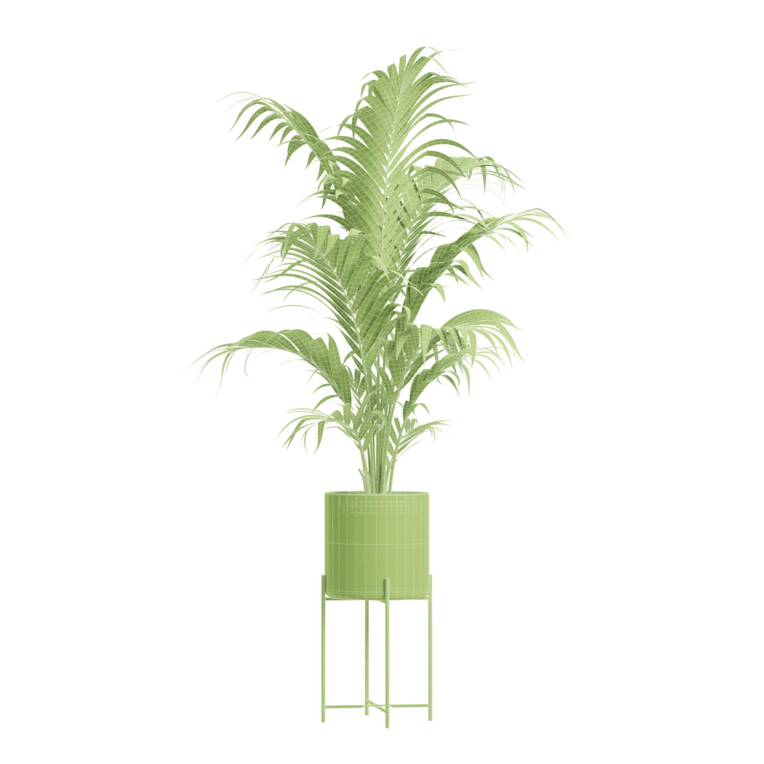 Indoor Plants Pack 68 - 3D Model by AllQuad