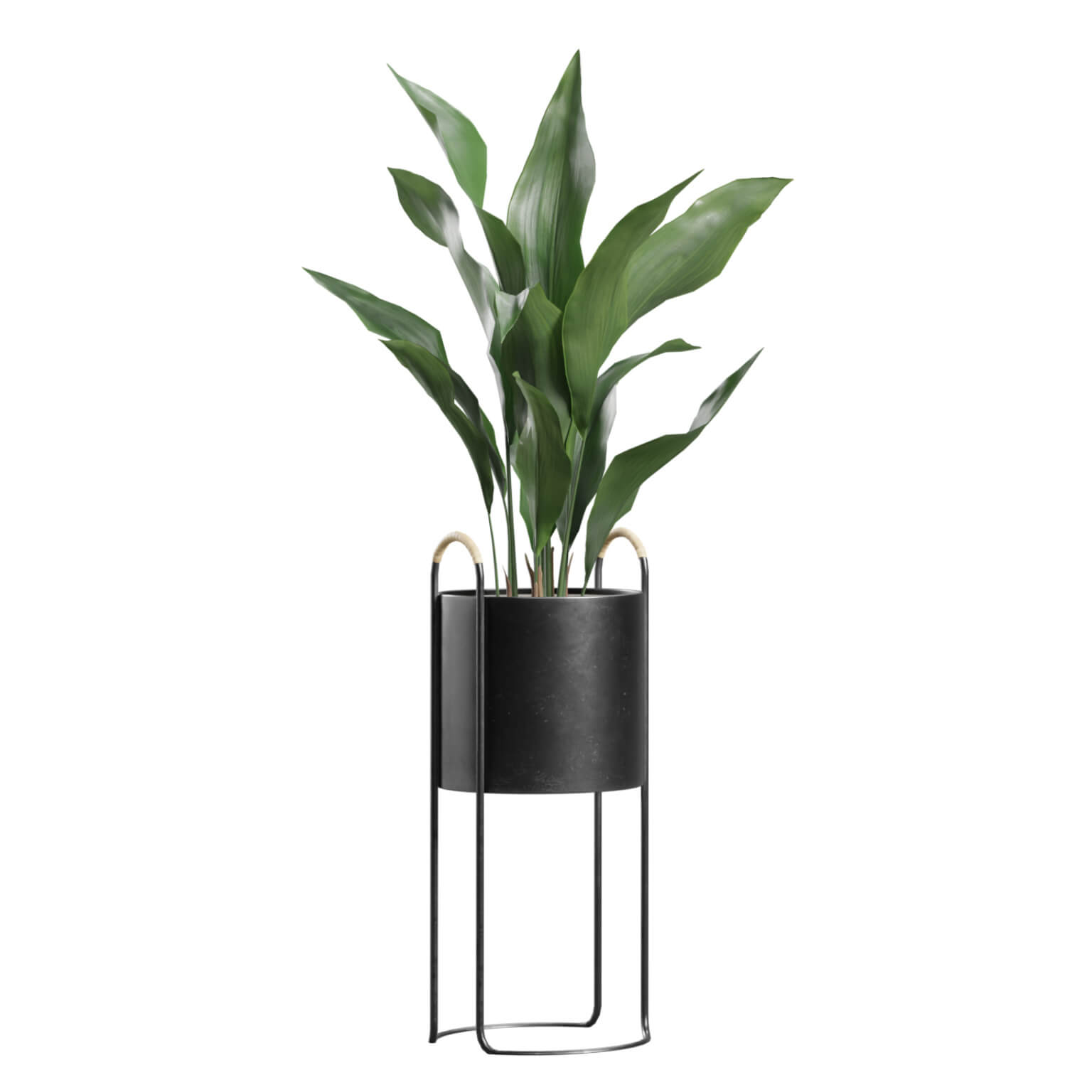 Indoor Plants Pack 69 - 3D Model by AllQuad