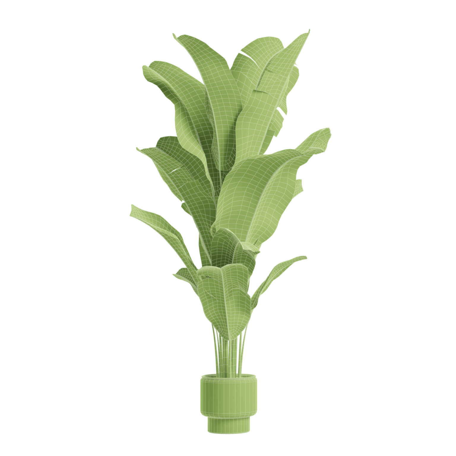Indoor Plants Pack 70 - 3D Model by AllQuad