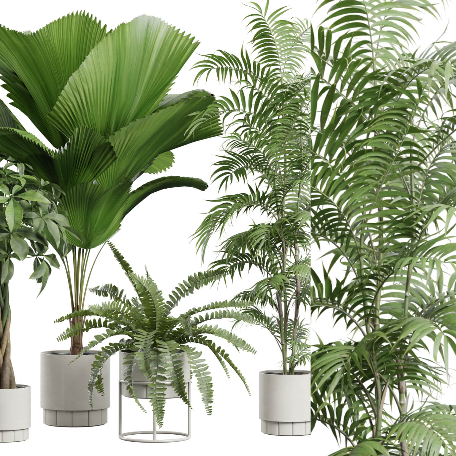 Indoor Plants Pack 71 - 3D Model by AllQuad