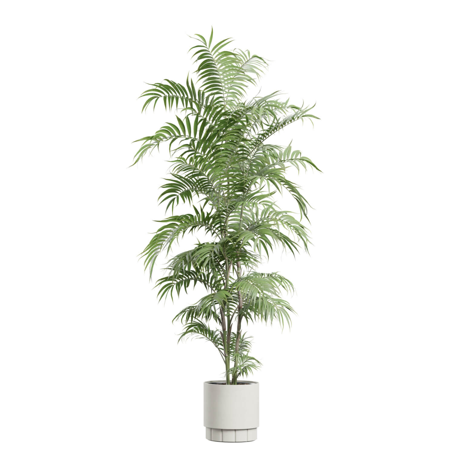 Indoor Plants Pack 71 - 3D Model by AllQuad