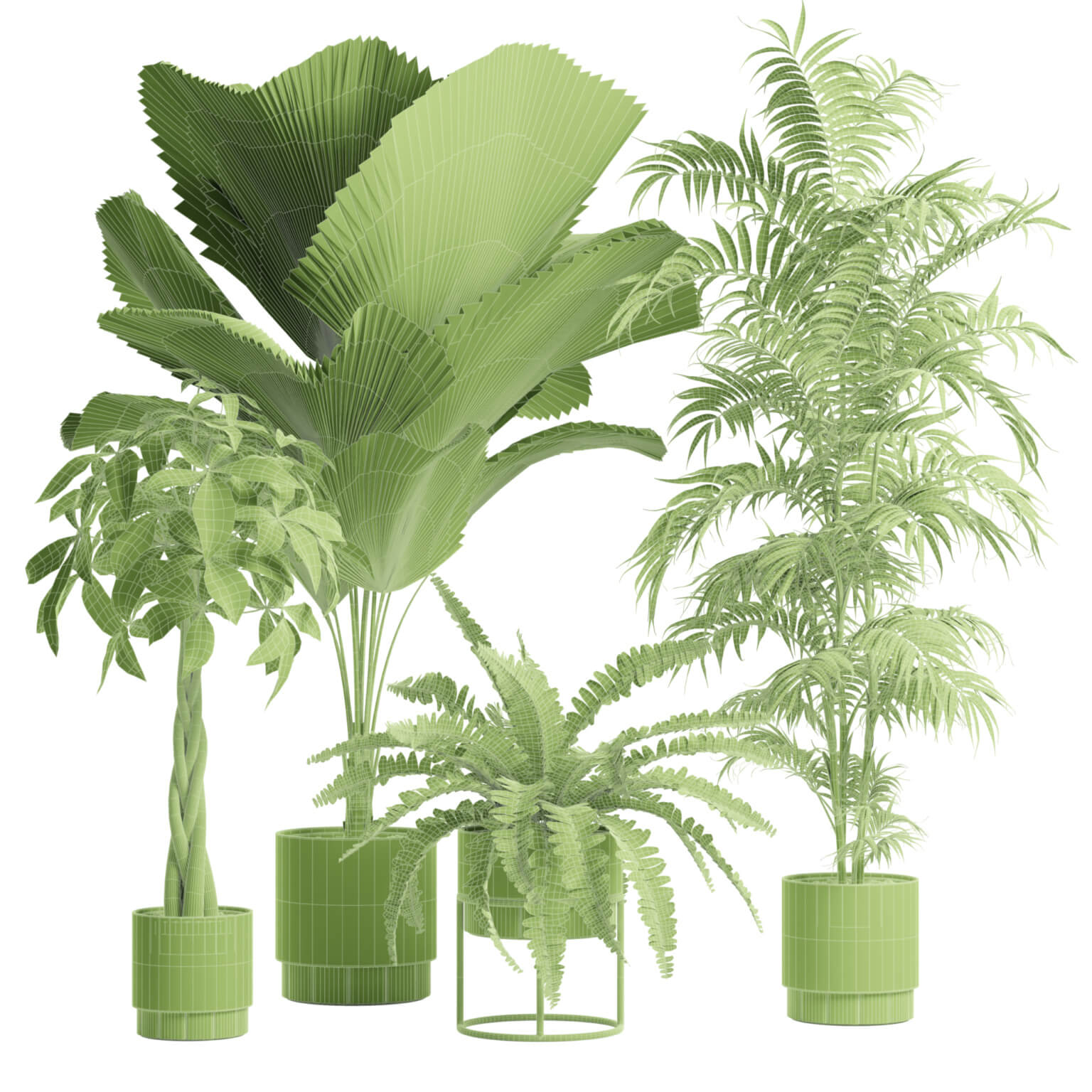 Indoor Plants Pack 71 - 3D Model by AllQuad