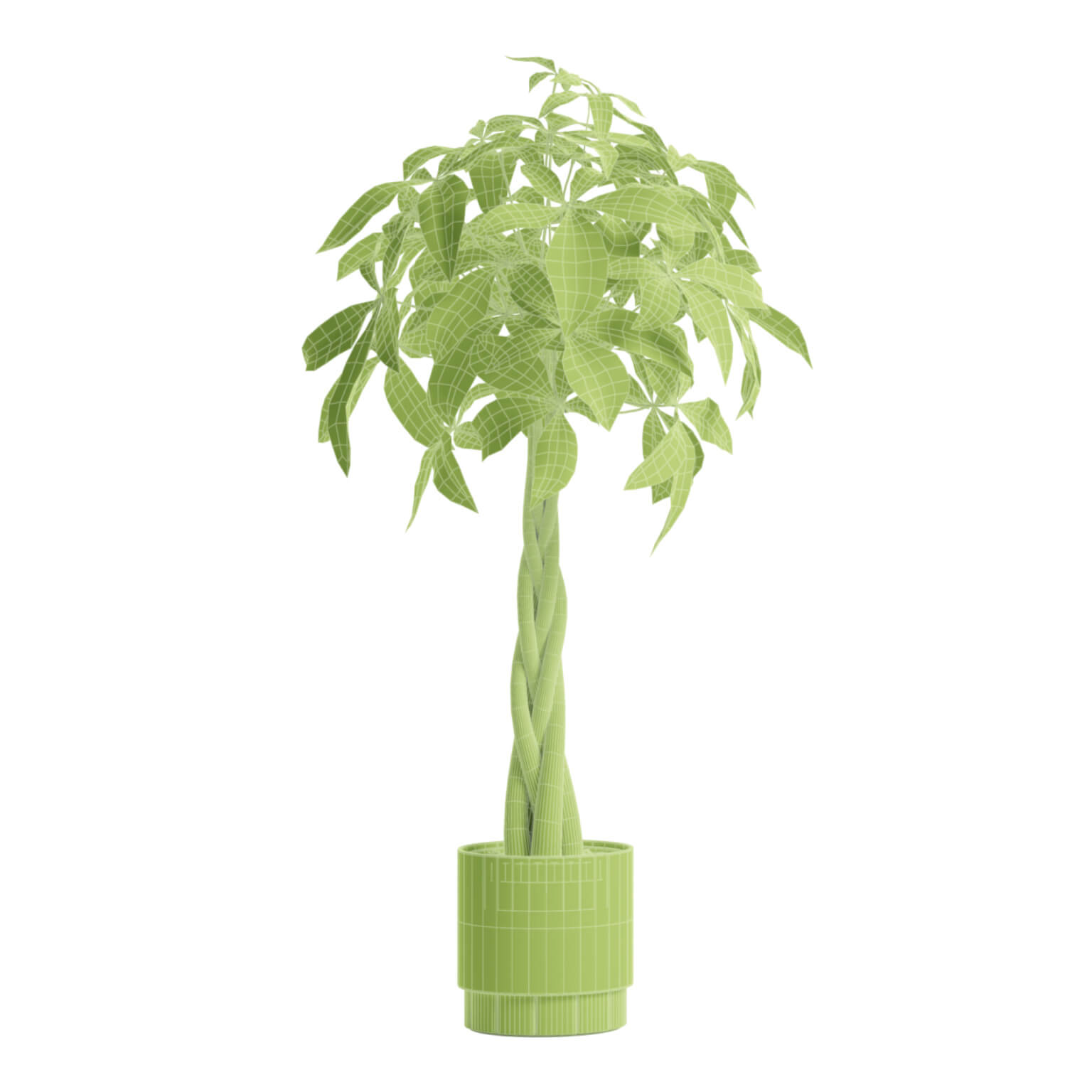 Indoor Plants Pack 71 - 3D Model by AllQuad