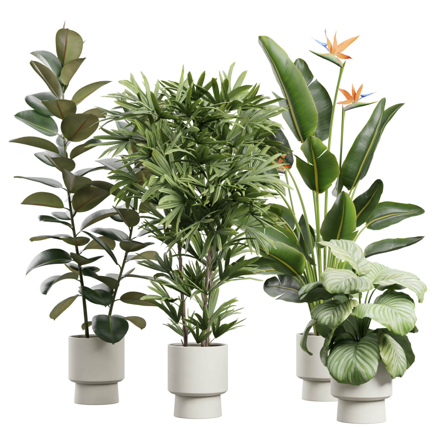 Indoor Plants Pack 72 - 3D Model by AllQuad