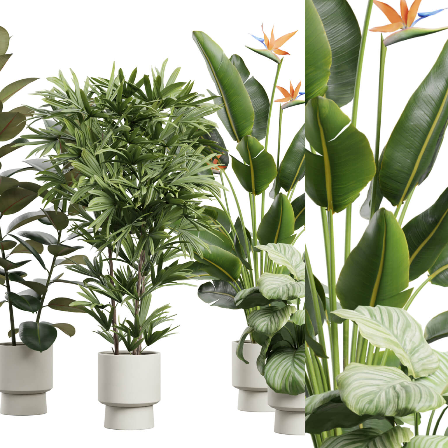 Indoor Plants Pack 72 - 3D Model by AllQuad