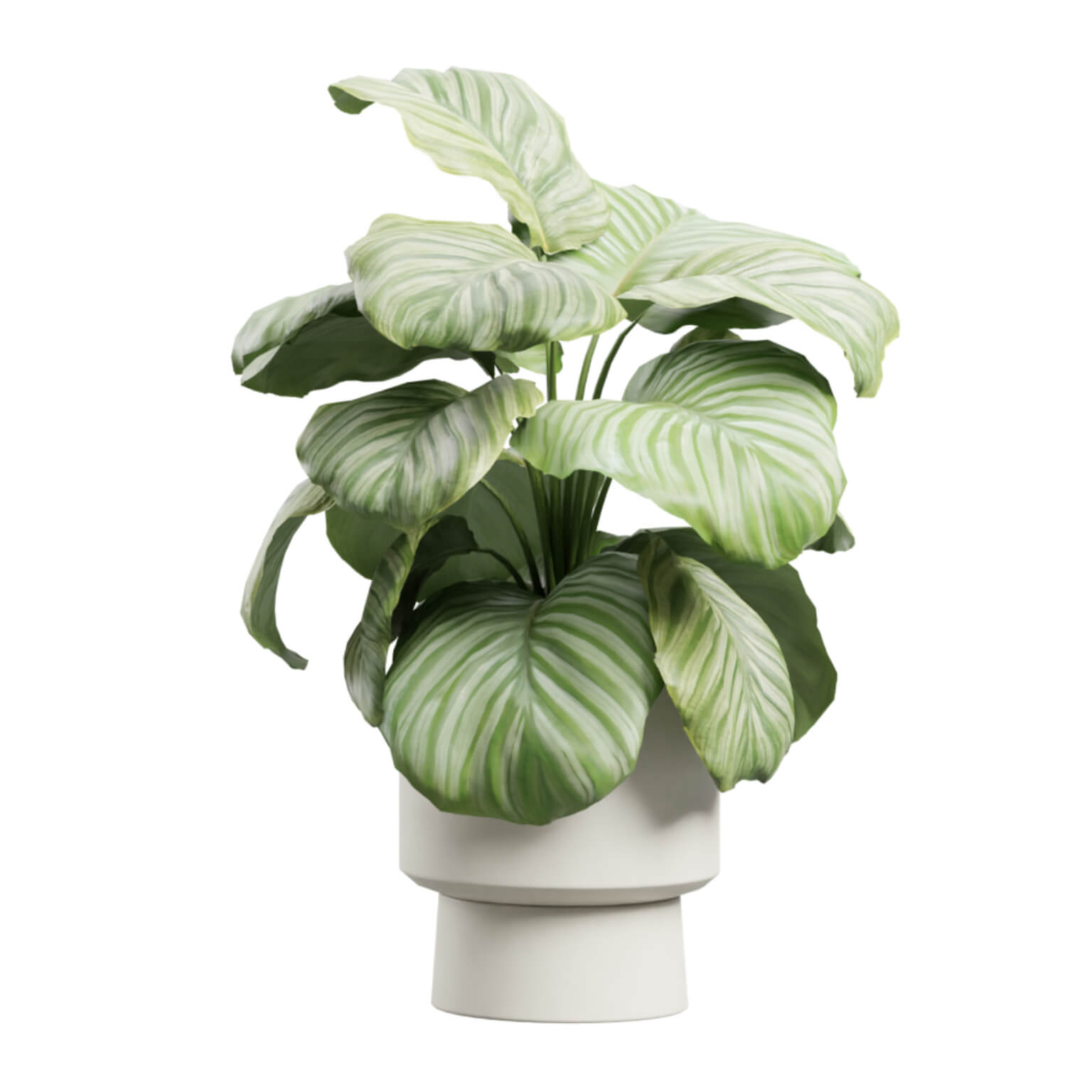 Indoor Plants Pack 72 - 3D Model by AllQuad