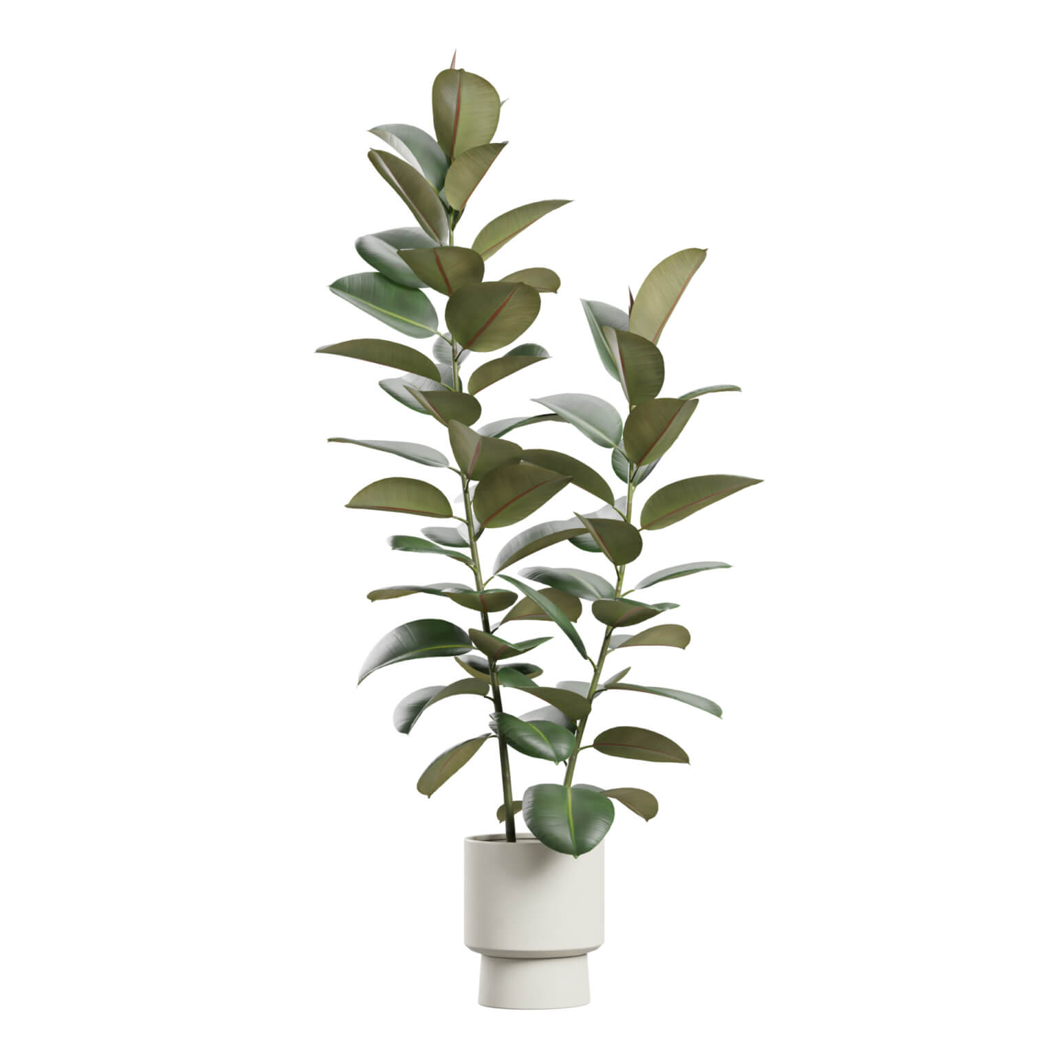 Indoor Plants Pack 72 - 3D Model by AllQuad