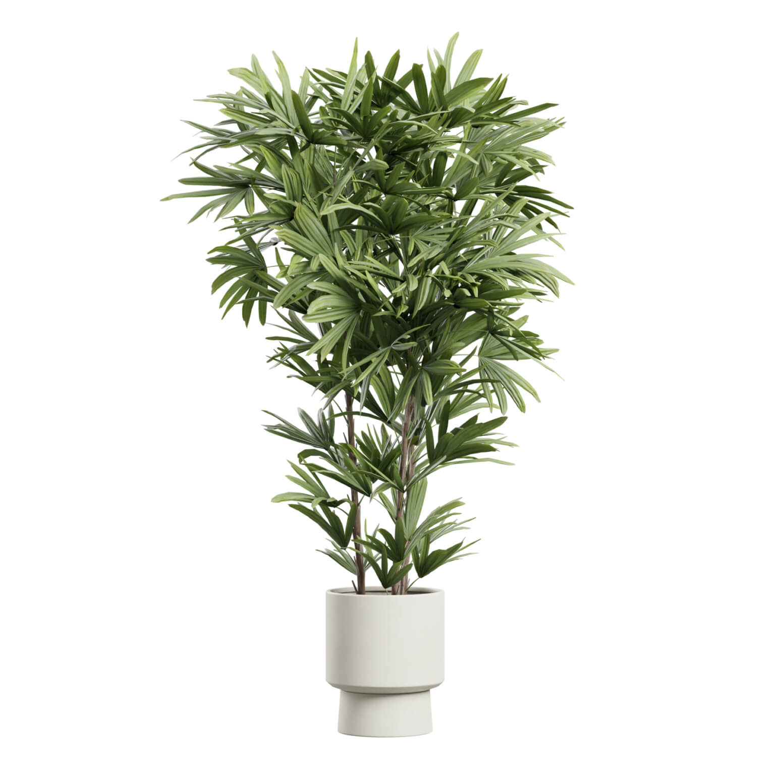 Indoor Plants Pack 72 - 3D Model by AllQuad