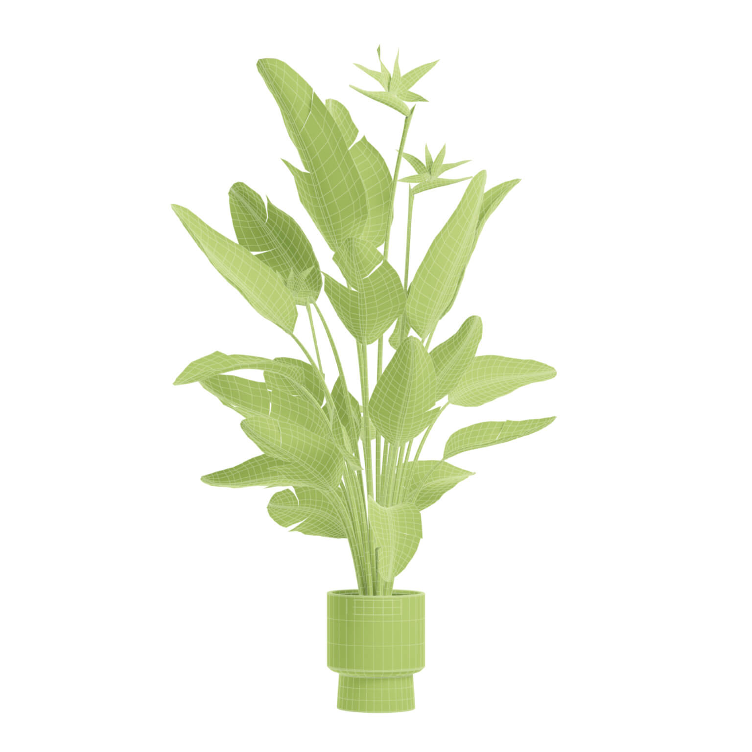 Indoor Plants Pack 72 - 3D Model by AllQuad
