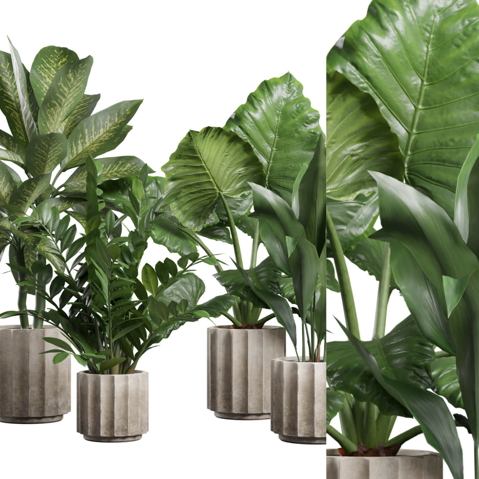 Indoor Plants Pack 74 - 3D Model by AllQuad