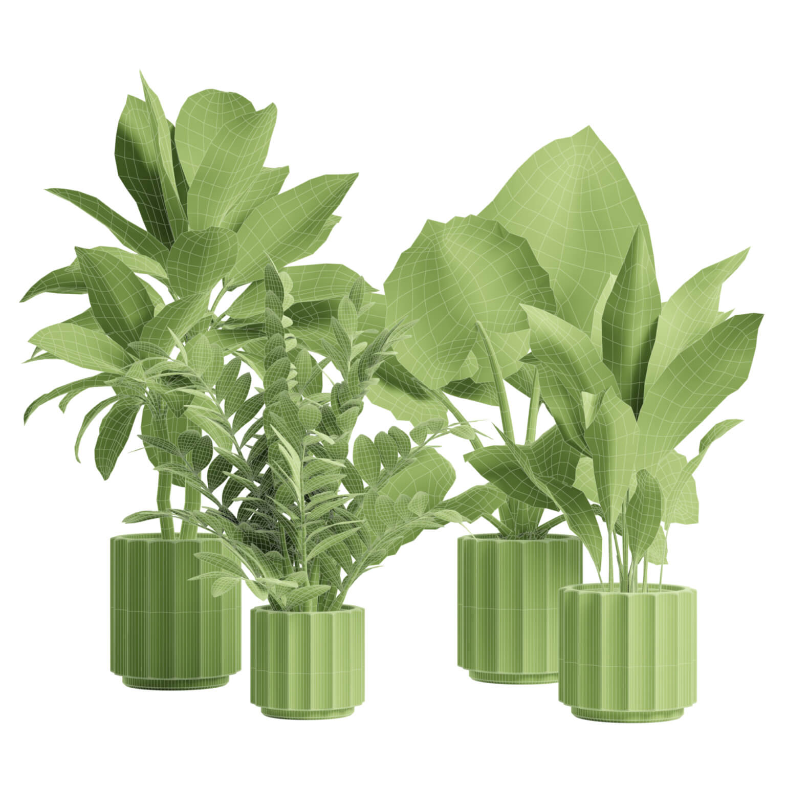 Long Leaf Indoor Plants 3d Model 3ds Max Files Free Indoor Plant Set