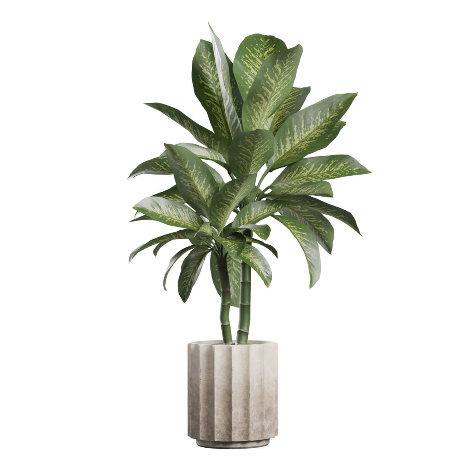 Indoor Plants Pack 74 - 3D Model by AllQuad
