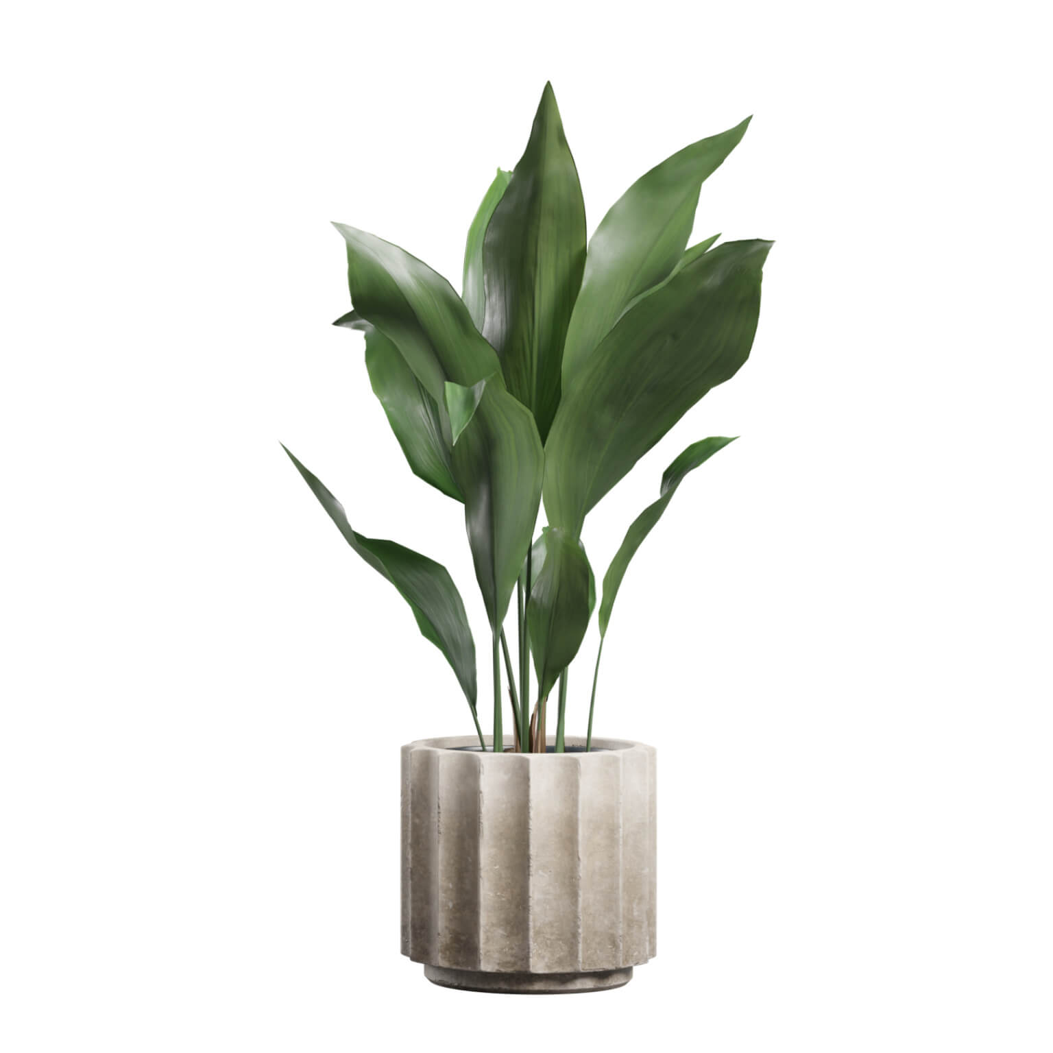 Indoor Plants Pack 74 - 3D Model by AllQuad