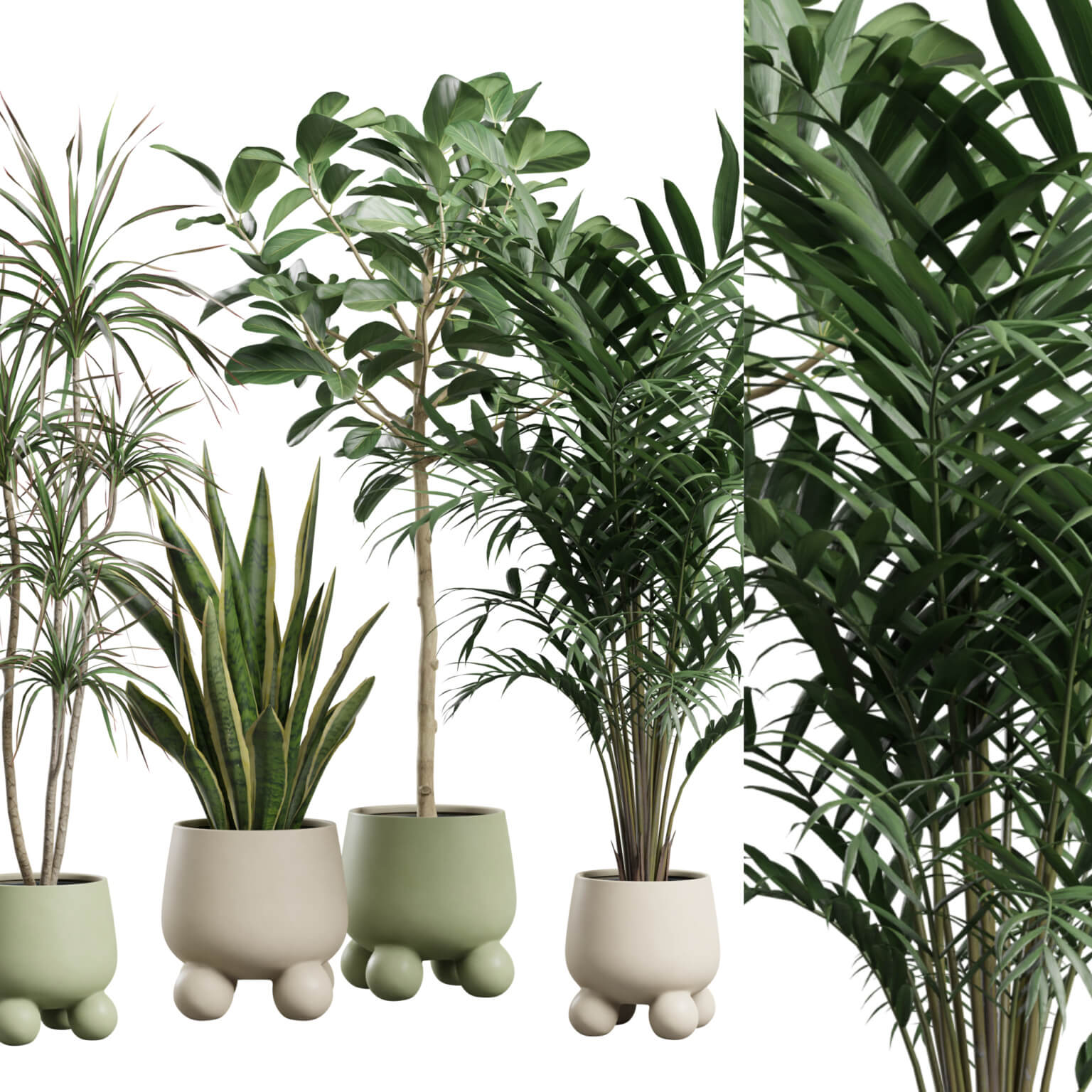 Indoor Plants Pack 75 - 3D Model by AllQuad