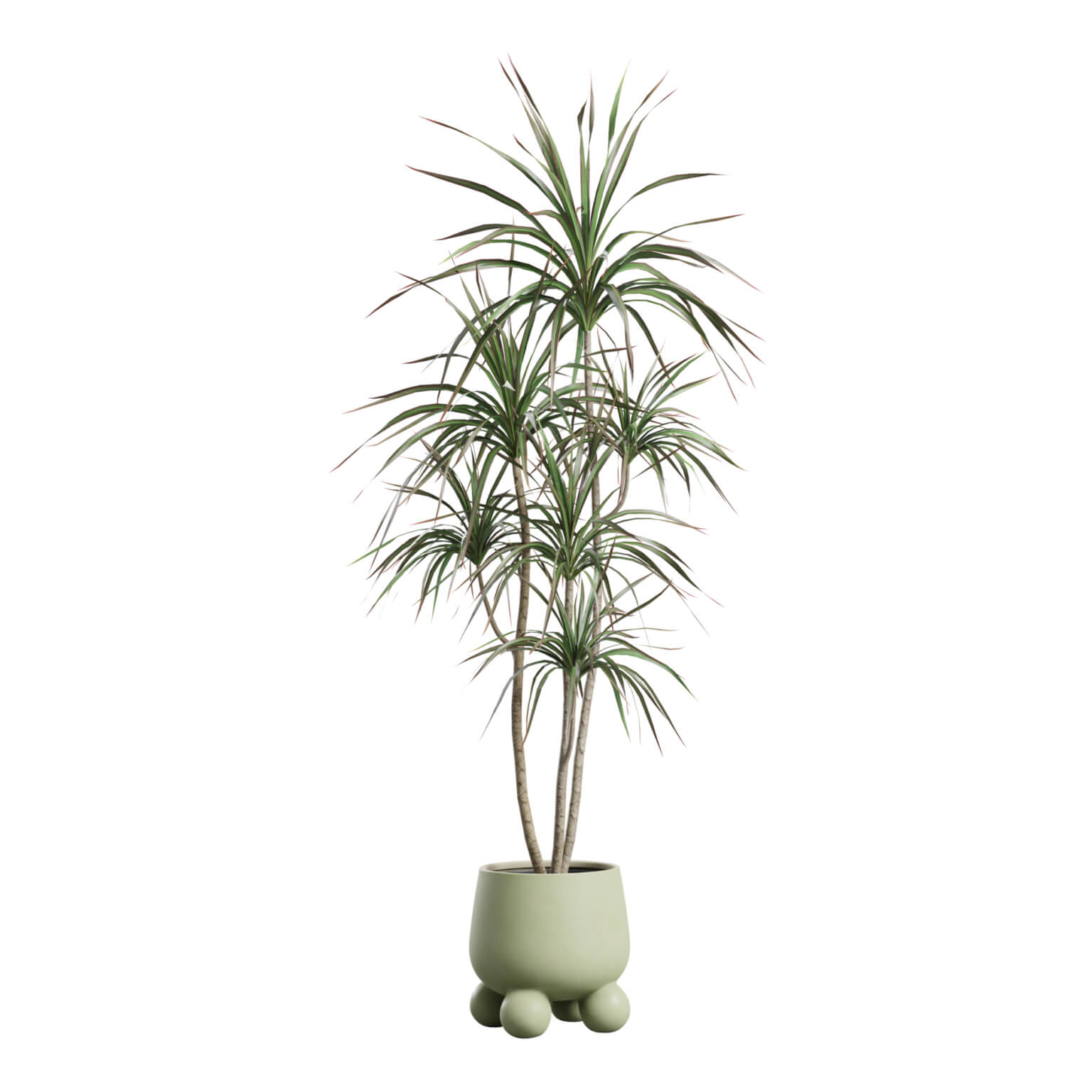Indoor Plants Pack 75 - 3D Model by AllQuad