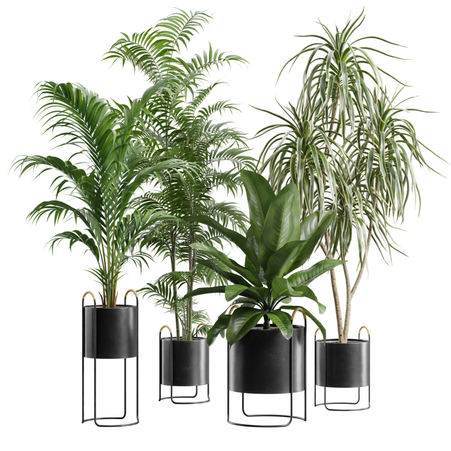 Indoor Plants Pack 77 - 3D Model by AllQuad