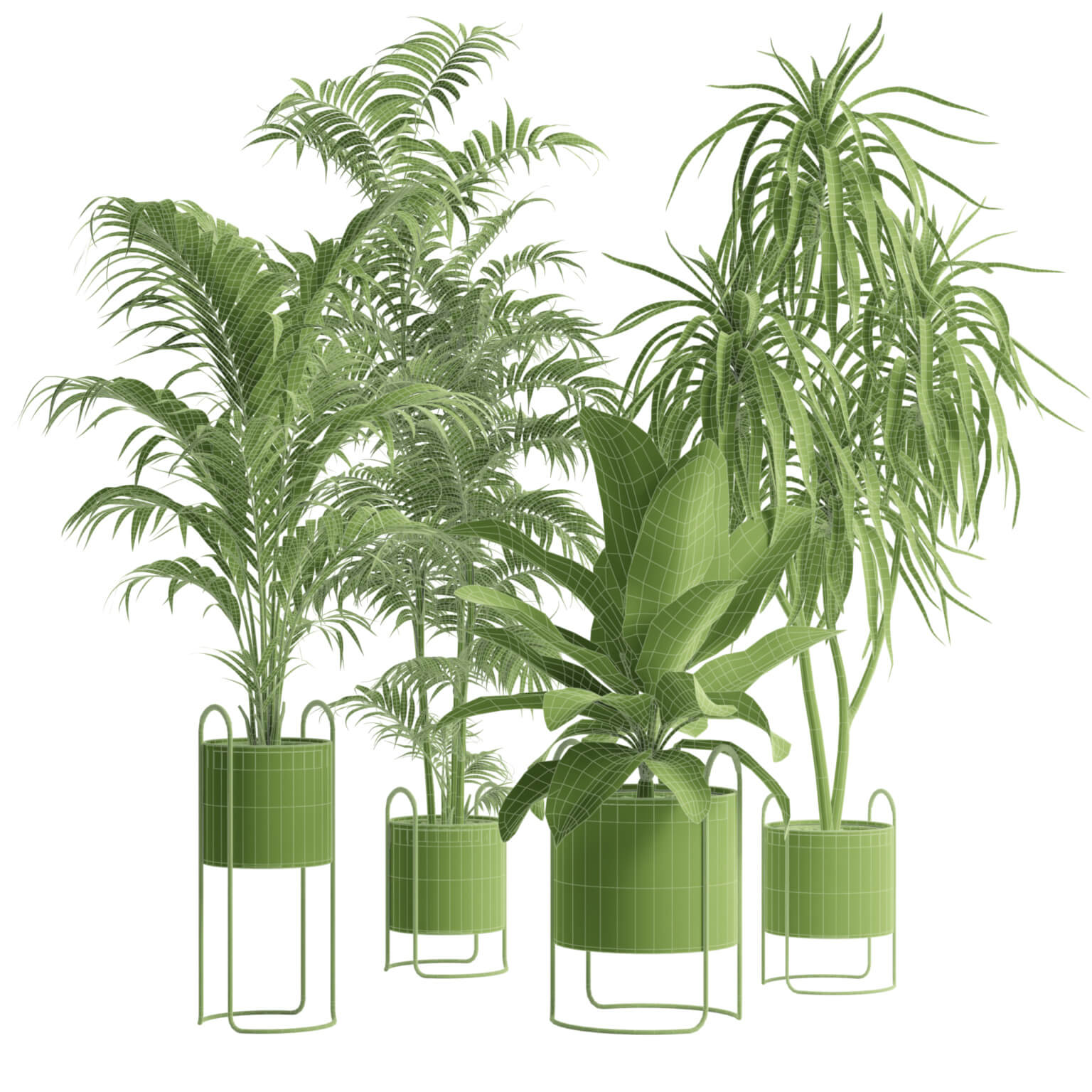 Indoor Plants Pack 77 - 3D Model by AllQuad