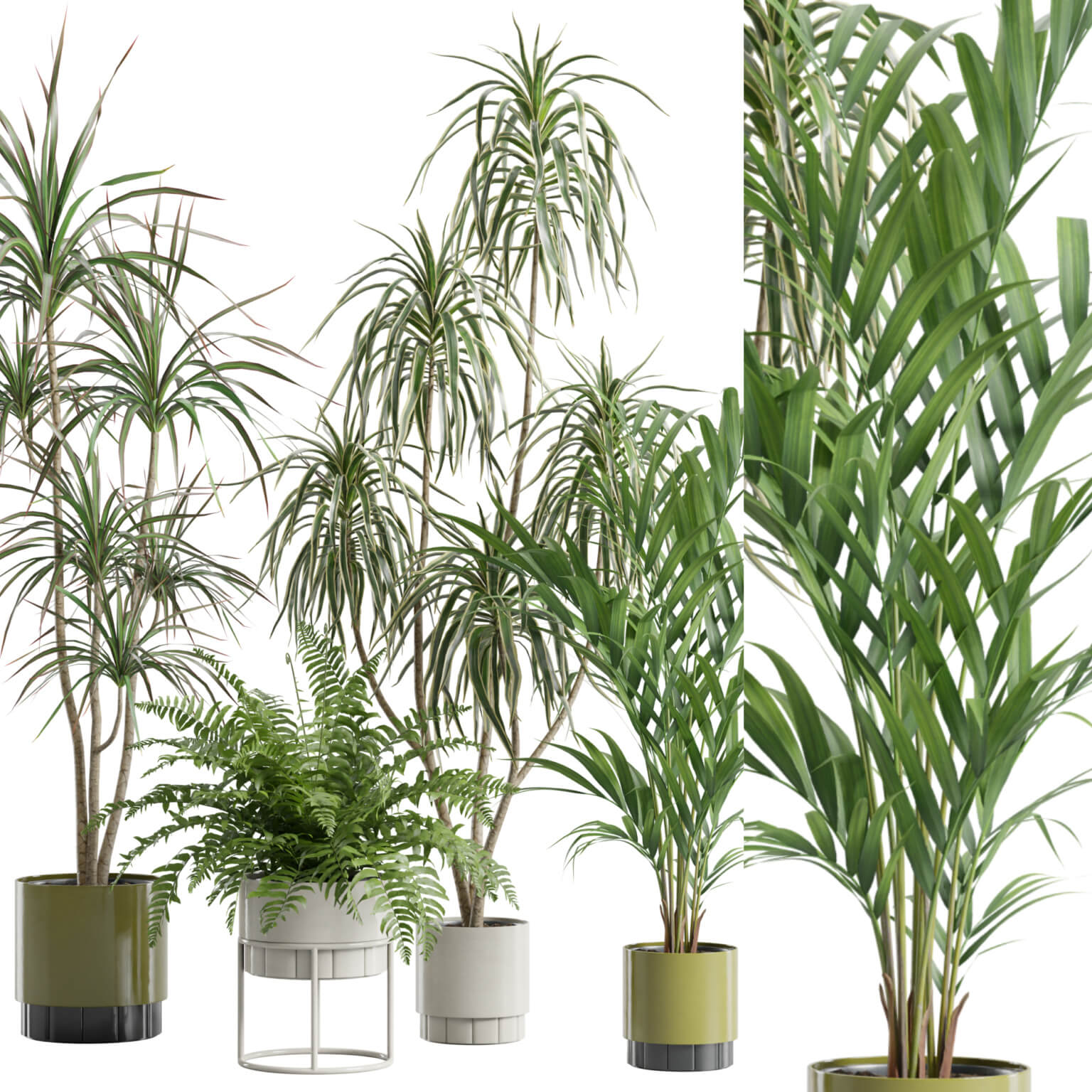 Indoor Plants Pack 80 - 3D Model by AllQuad