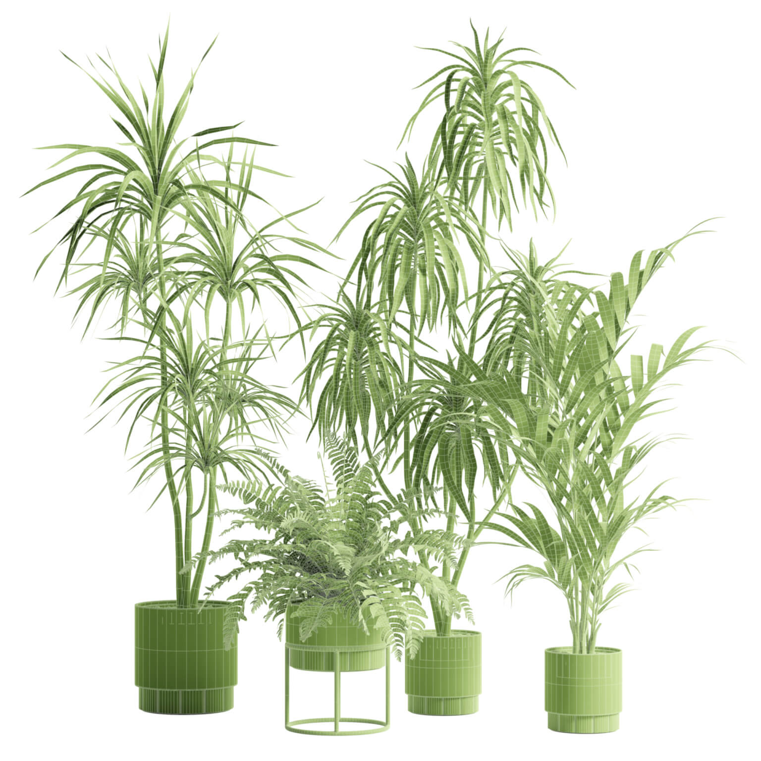 Indoor Plants Pack 80 - 3D Model by AllQuad