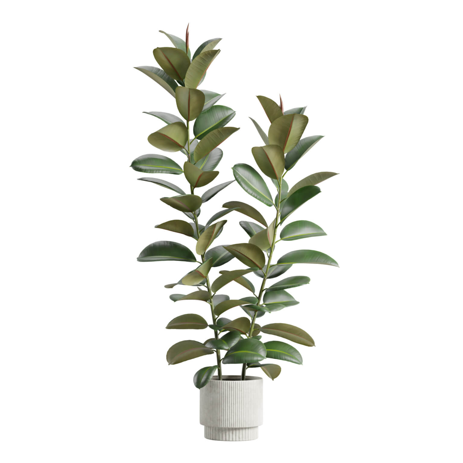 Indoor Plants Pack 81 - 3D Model by AllQuad
