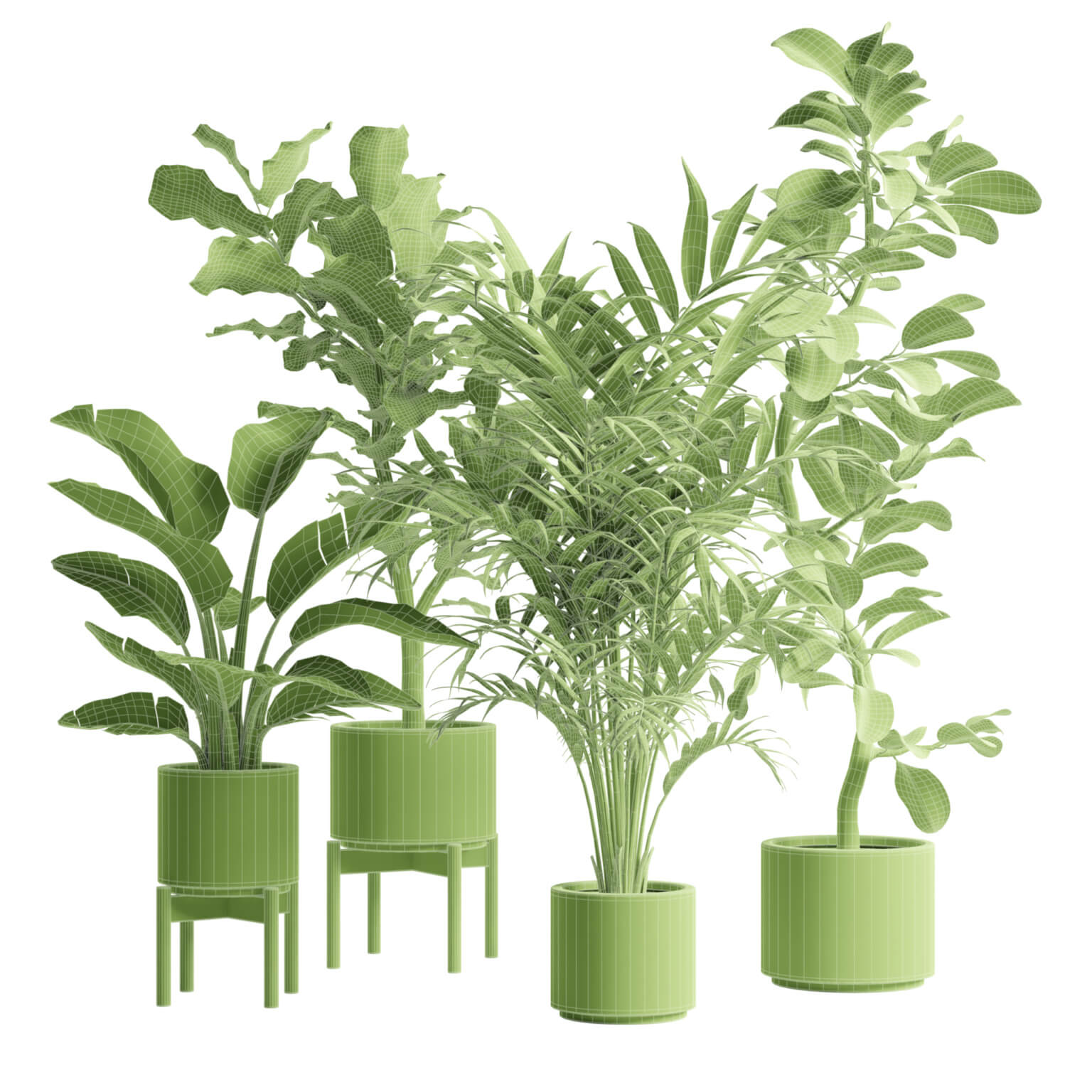 Indoor Plants Pack 83 - 3D Model by AllQuad