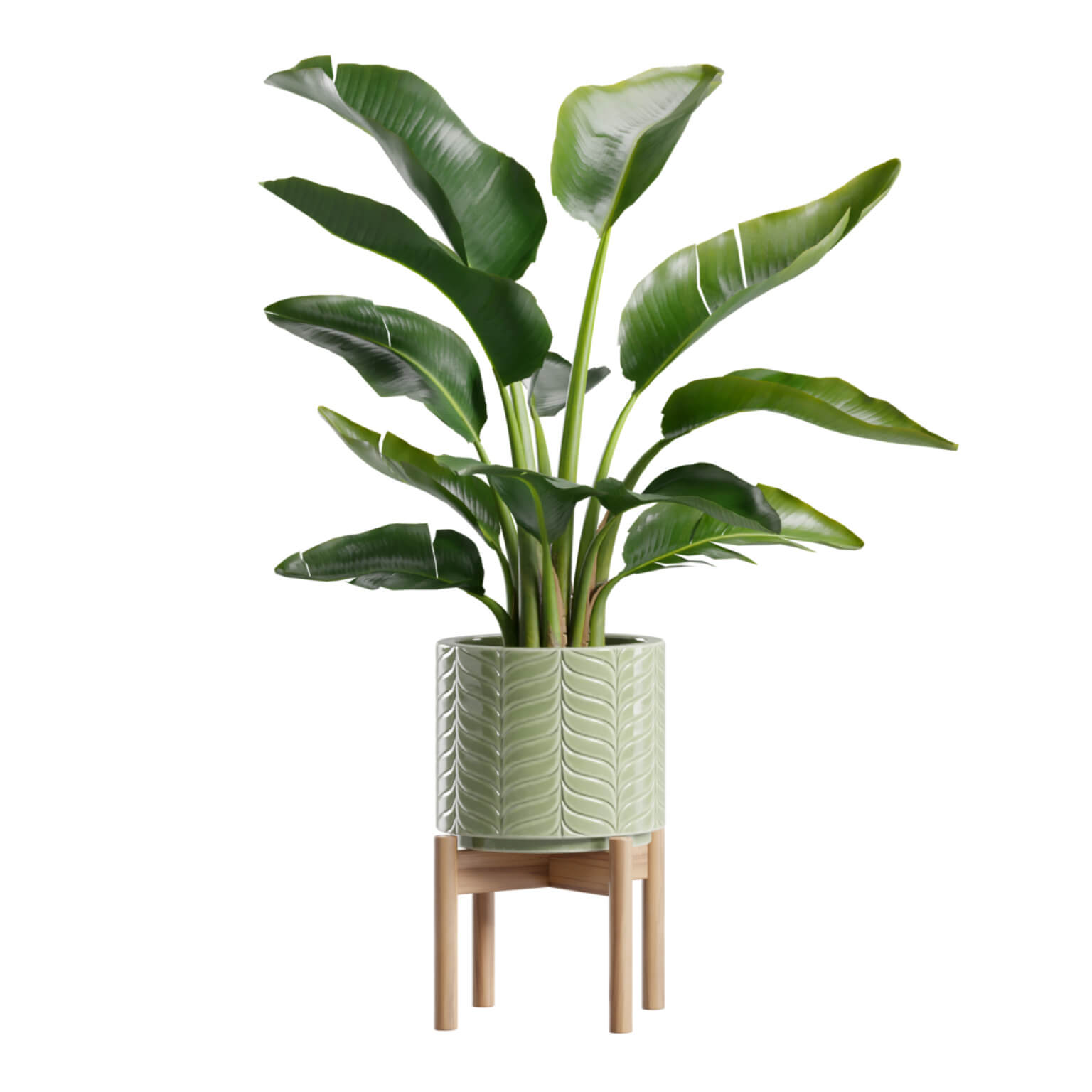 Indoor Plants Pack 83 - 3D Model by AllQuad