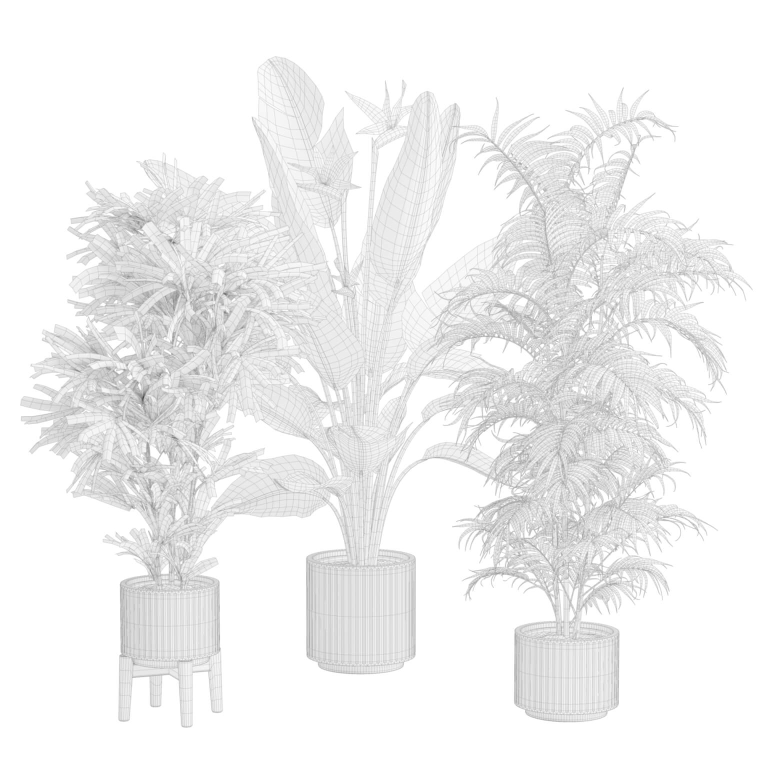 Indoor Plants Pack 84 - 3D Model by AllQuad