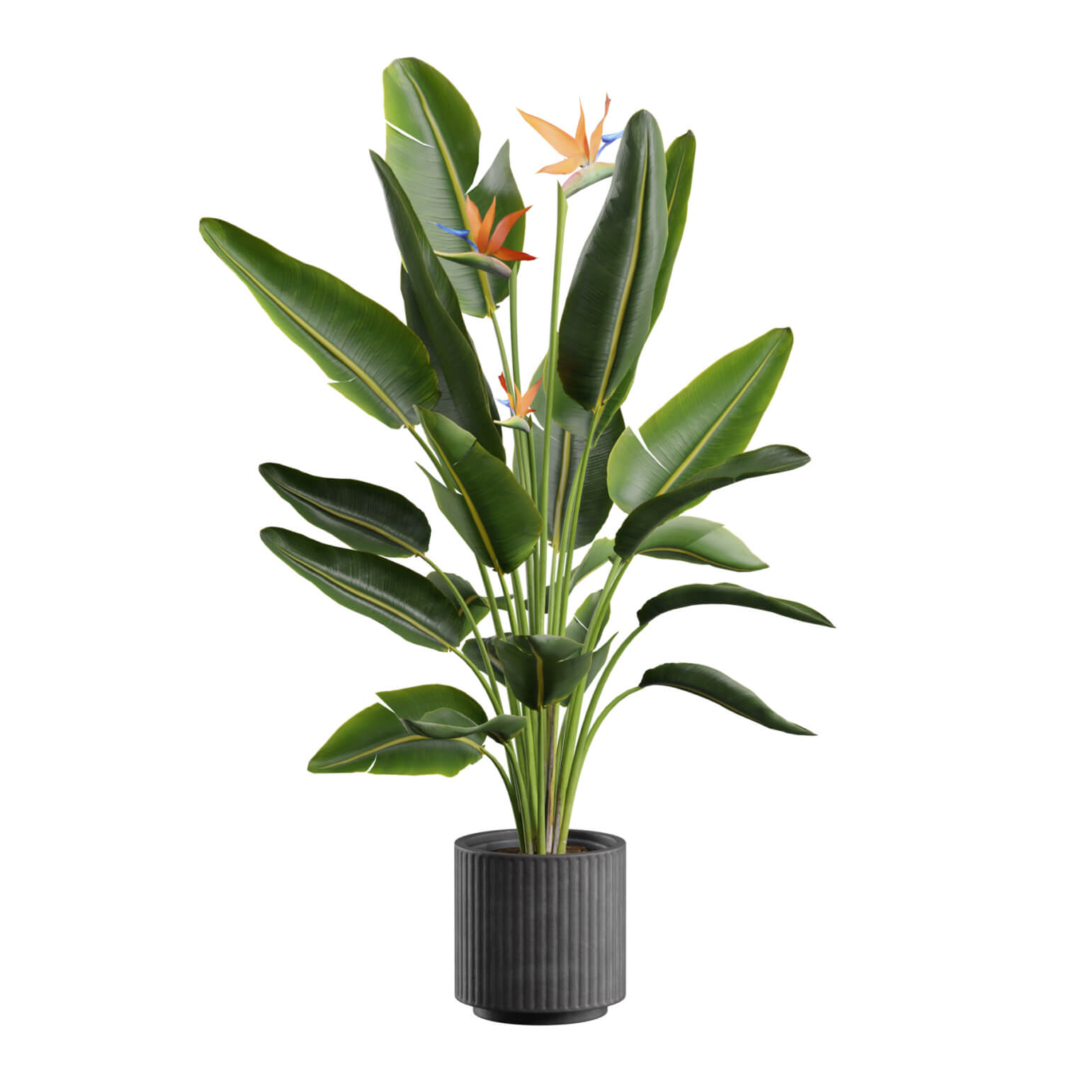 Indoor Plants Pack 84 - 3D Model by AllQuad