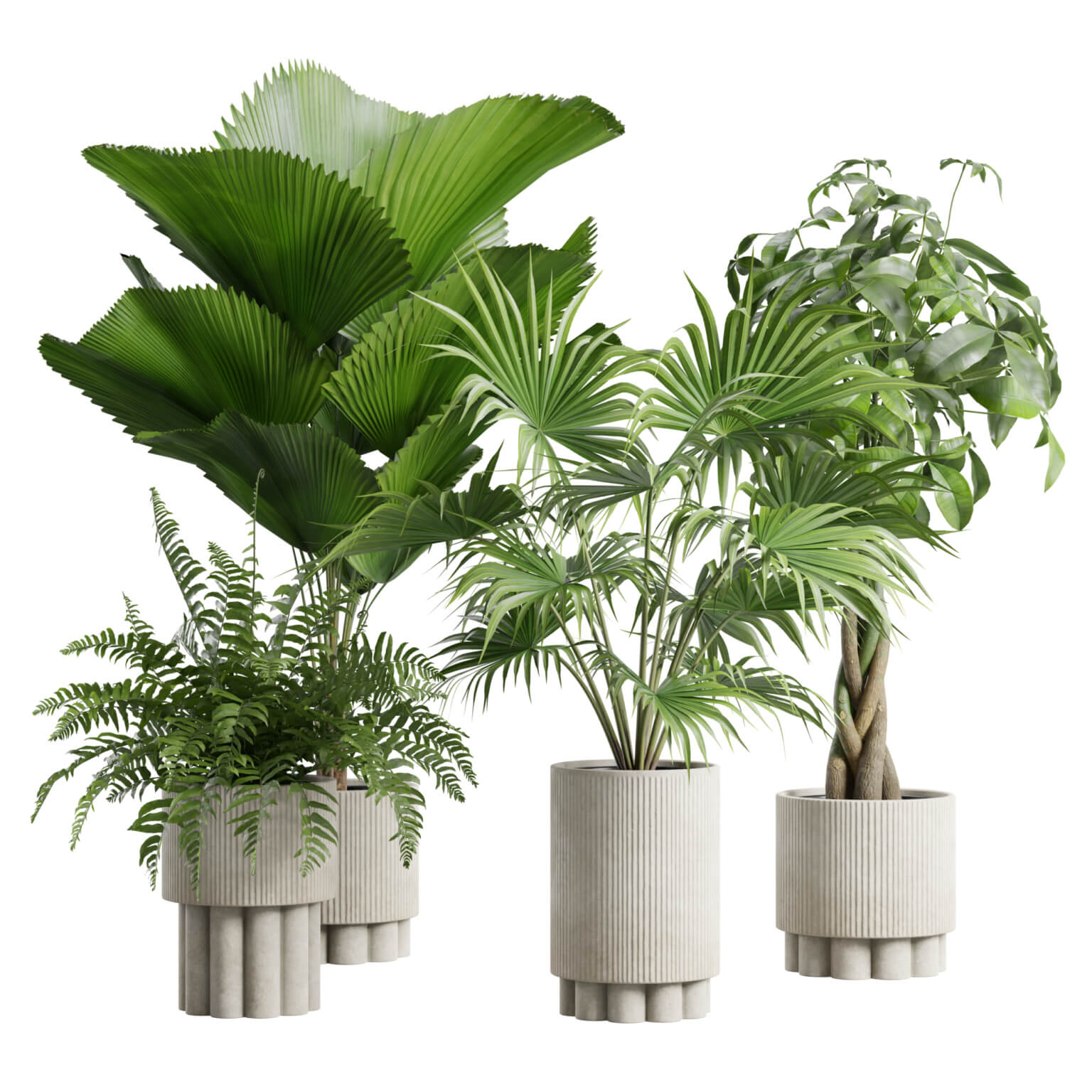 Indoor Plants Pack 85 - 3D Model by AllQuad